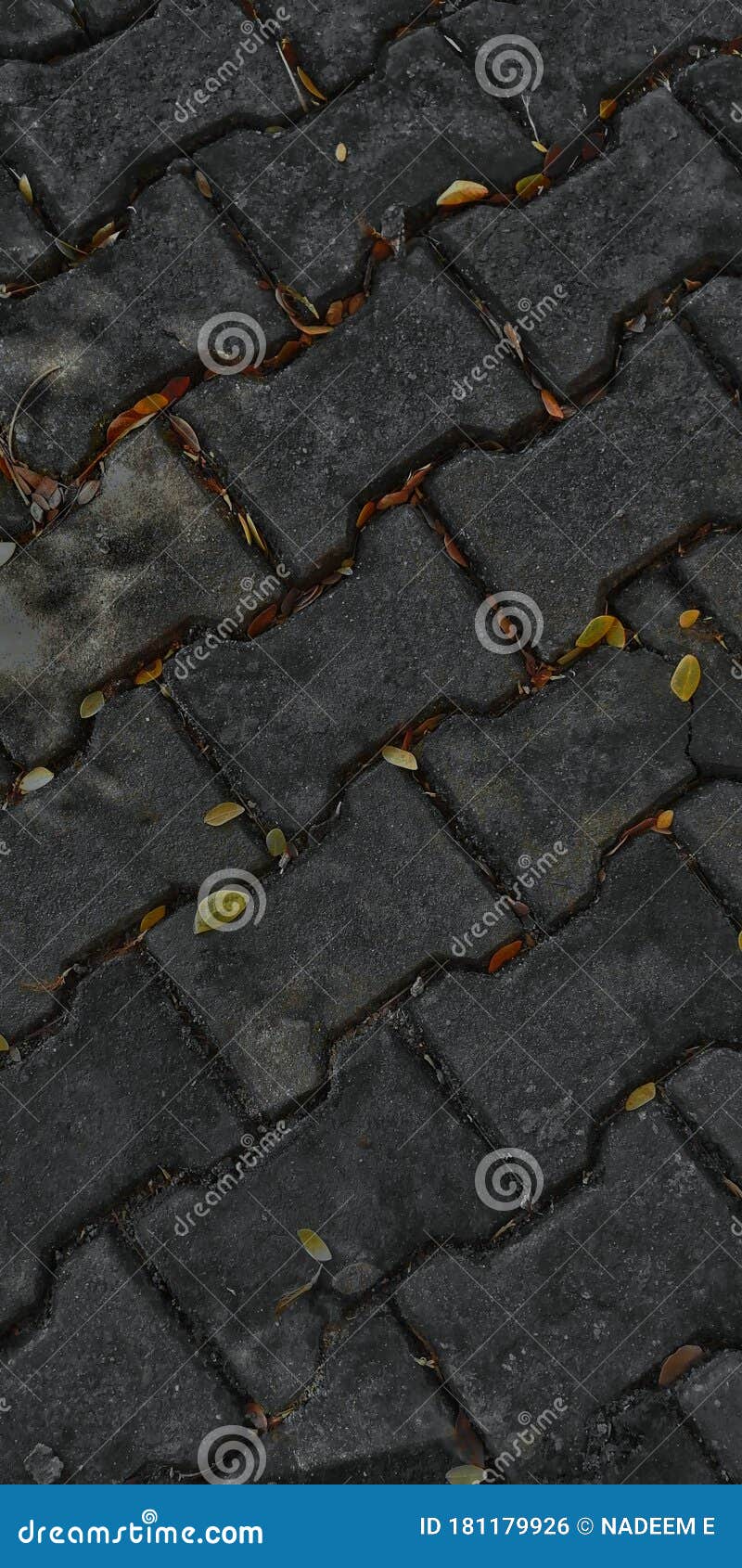 Interlock Pattern on the Garden Pavement Stock Photo - Image of plant ...