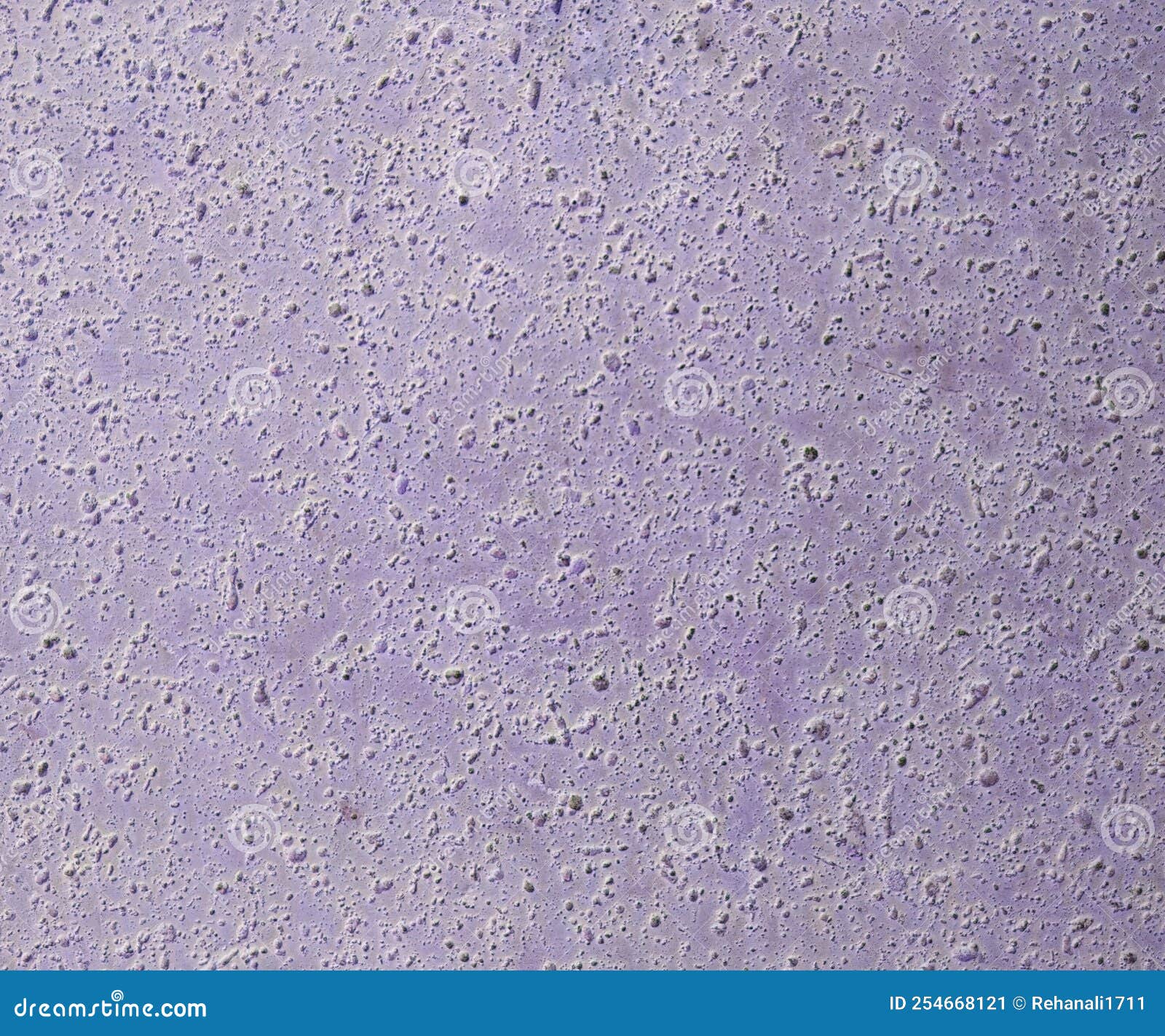 Background Abstract Texture Purple Dotted Pattern for Design Elements ...