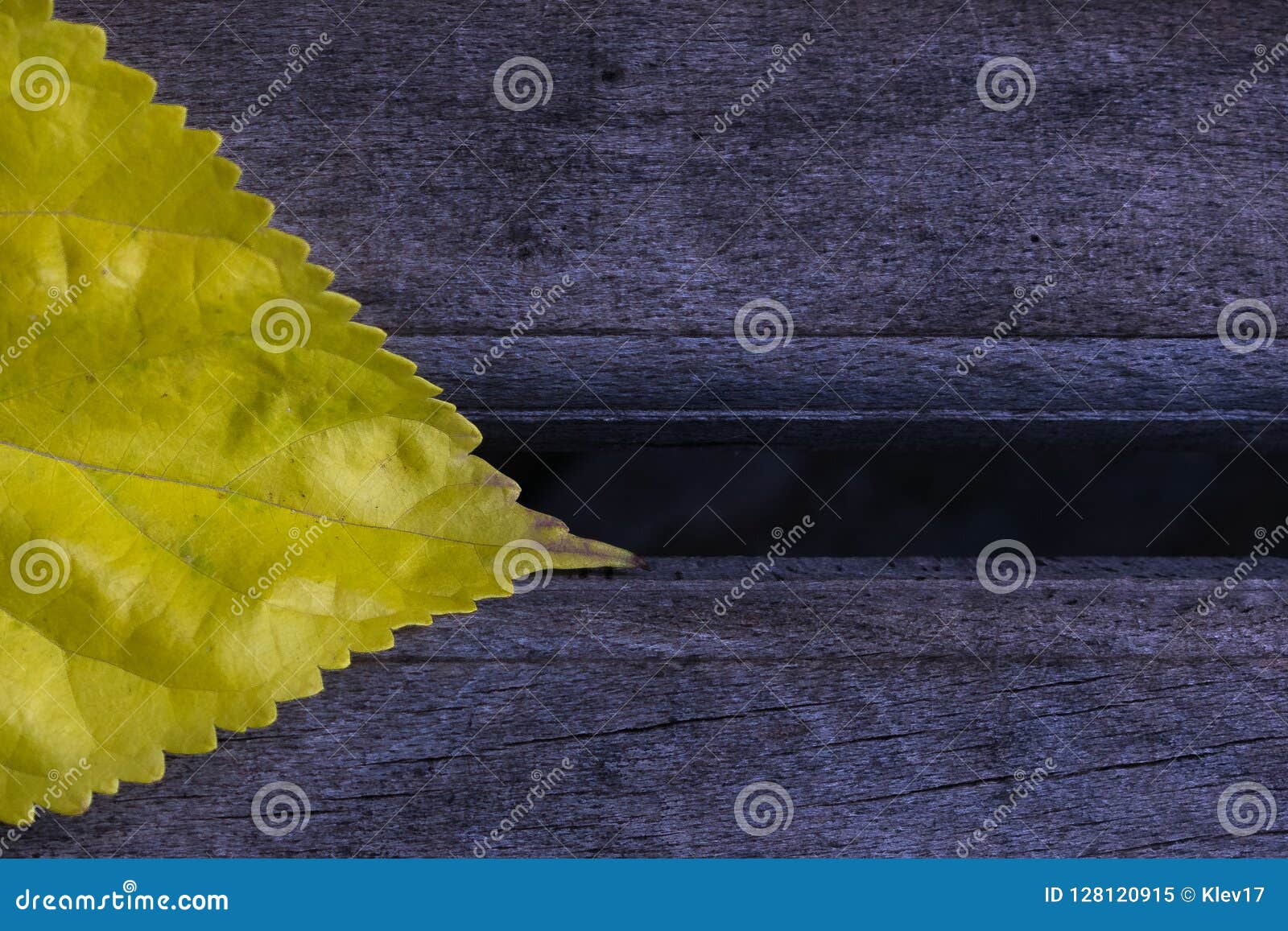 Background Abstract Yellow Leaf Wallpaper Stock Image - Image of leaf ...