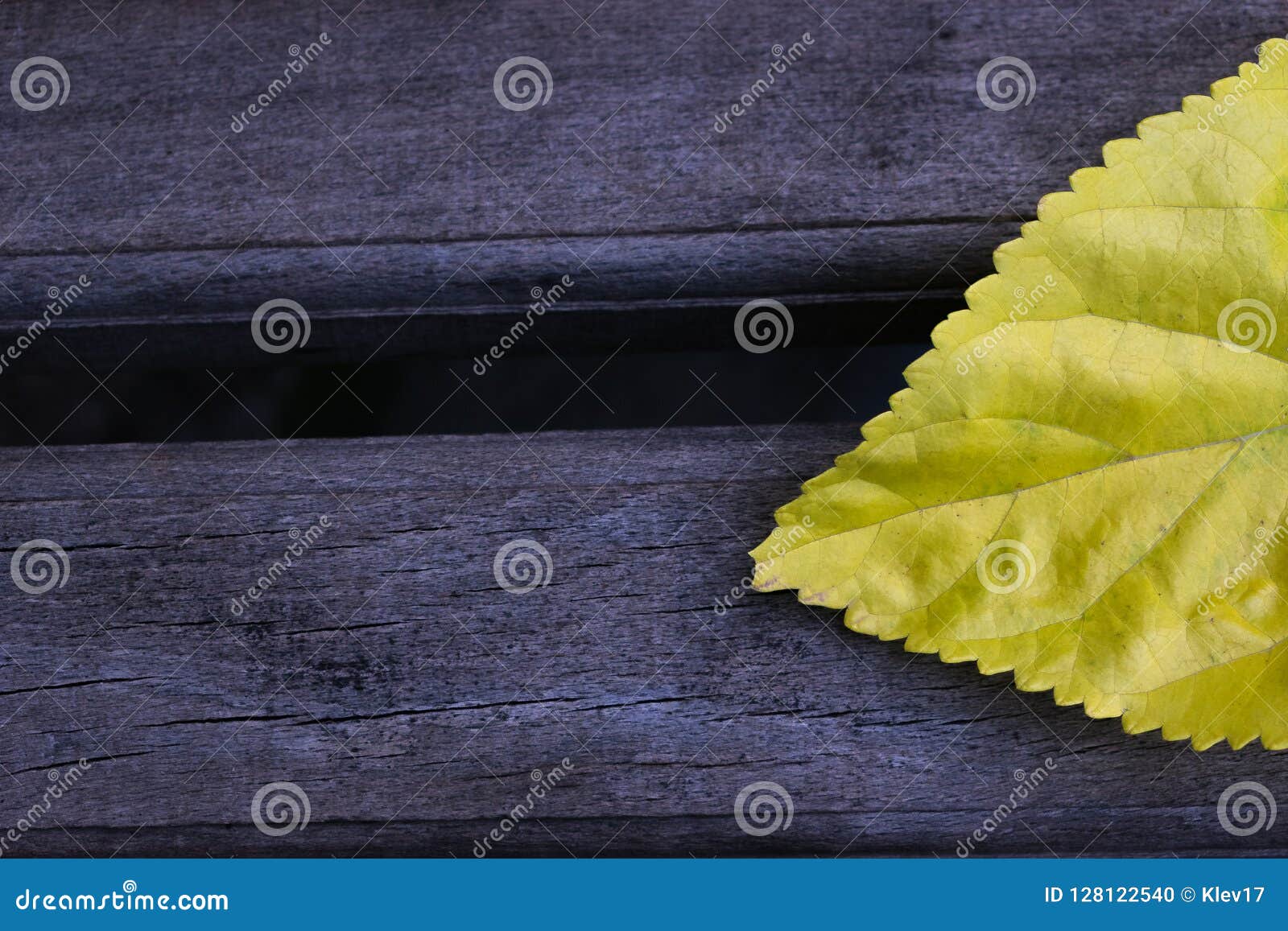 Background Abstract Yellow Leaf Wallpaper Stock Photo - Image of border ...