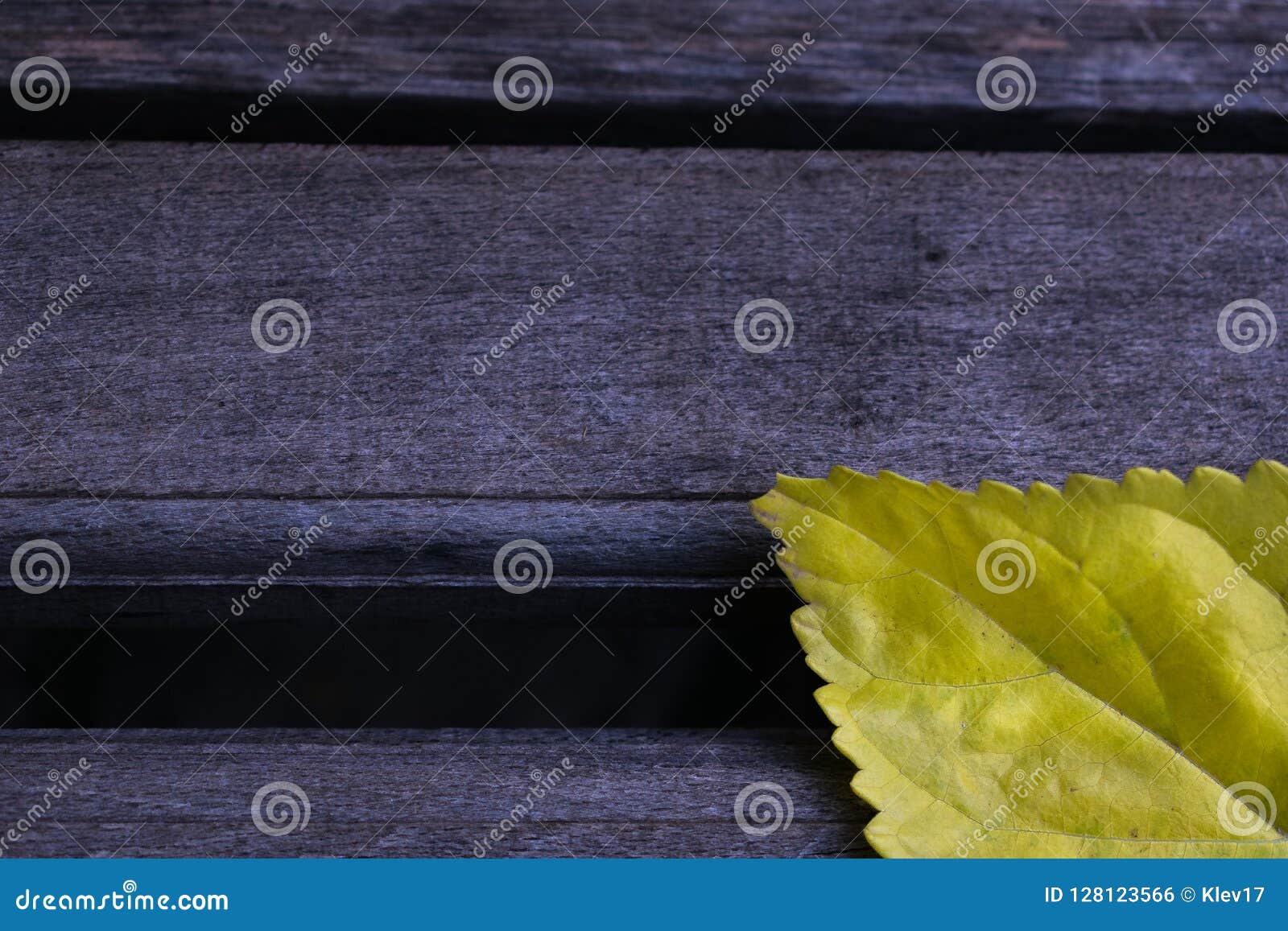 Background Abstract Yellow Leaf Wallpaper Stock Photo - Image of ...