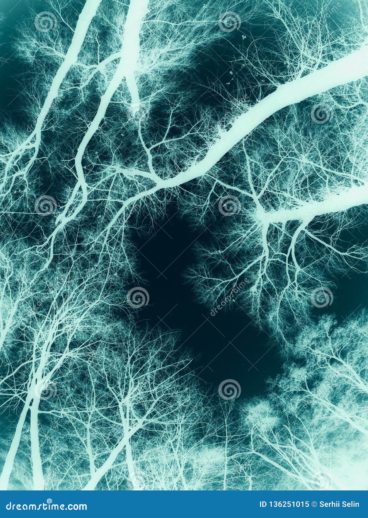 Background Abstraction with Tree Branches Stock Illustration ...