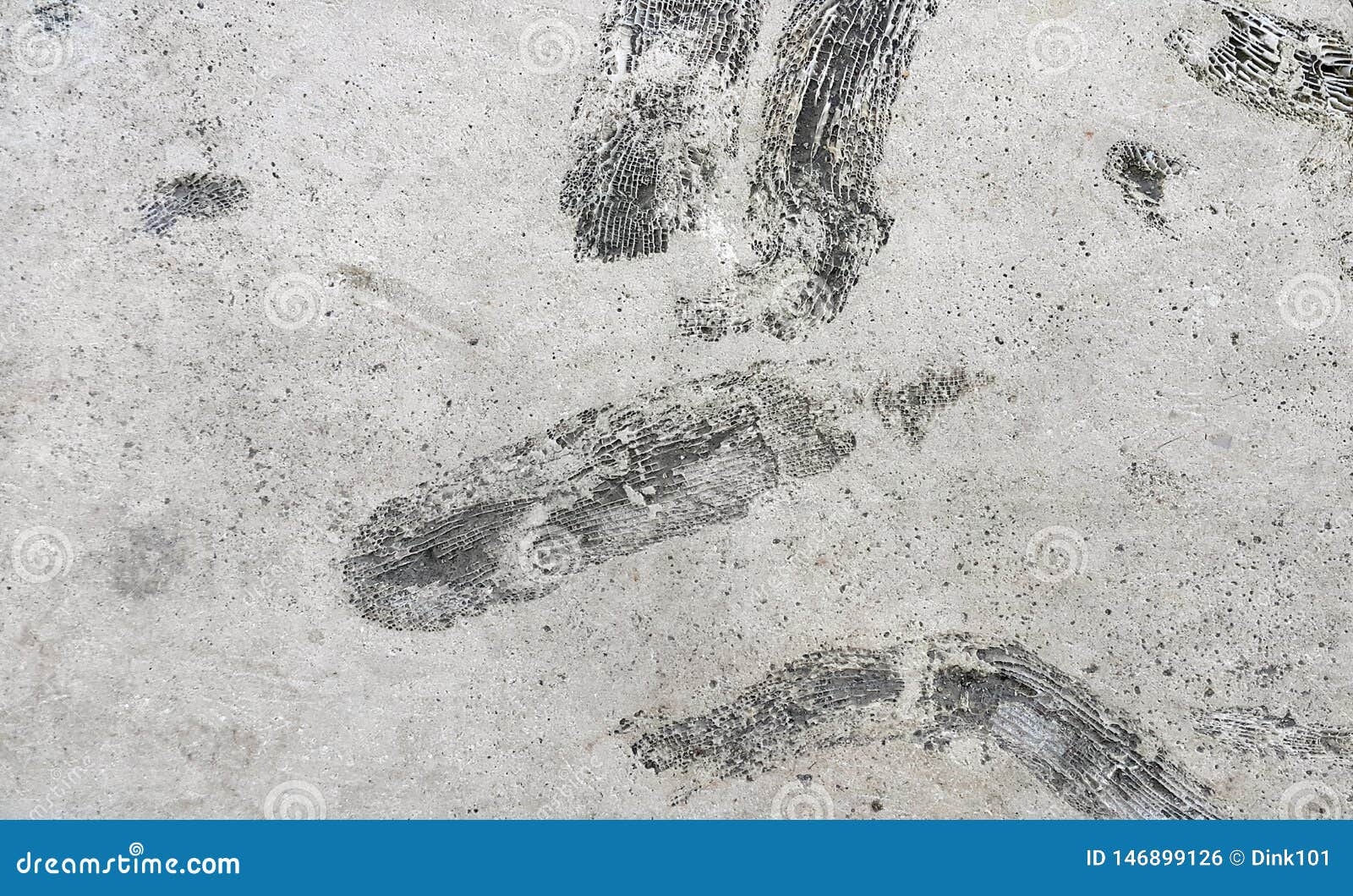 Stone texture with fossils stock photo. Image of ammonite - 146899126
