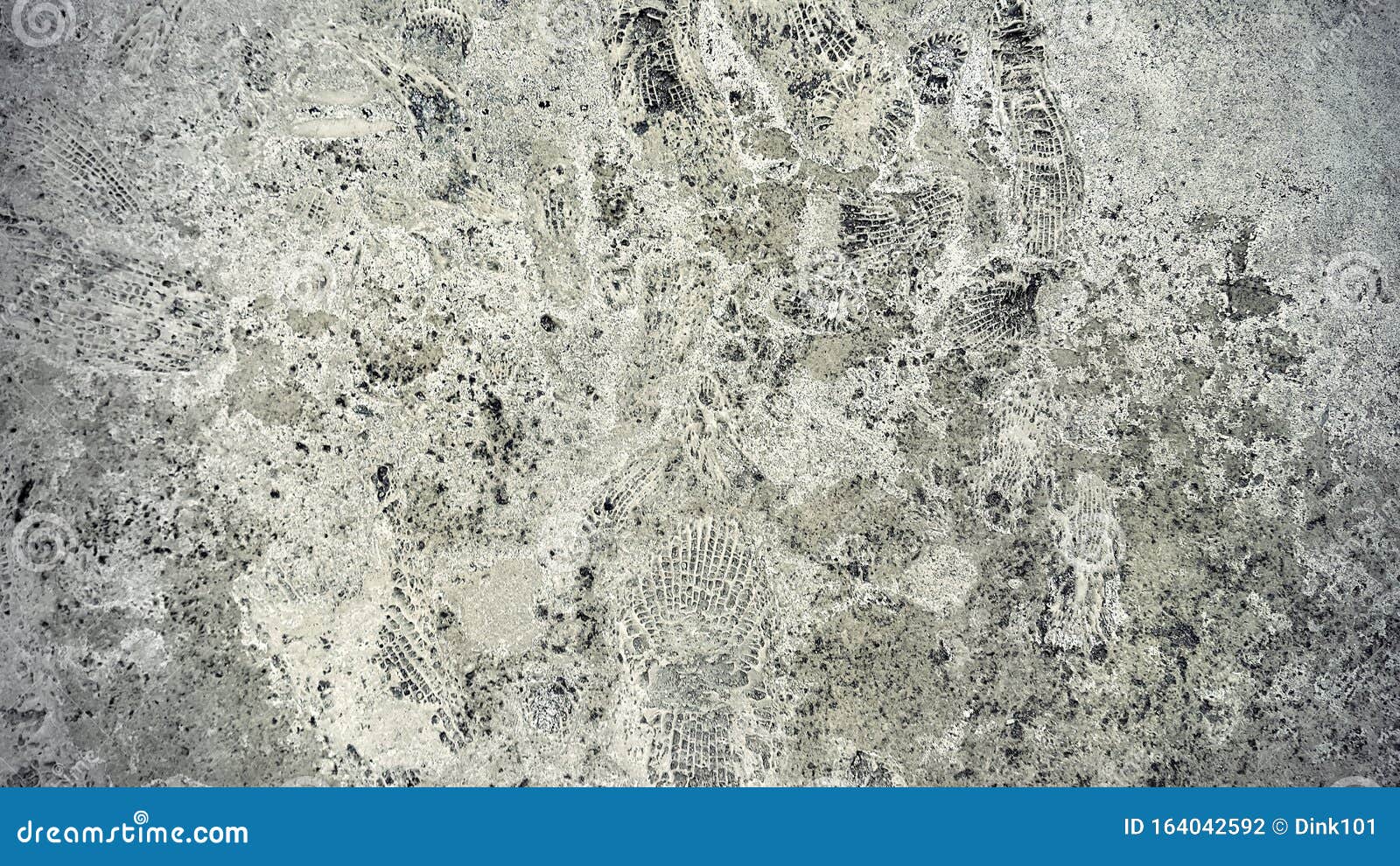Stone texture with fossils stock photo. Image of monochrome - 164042592