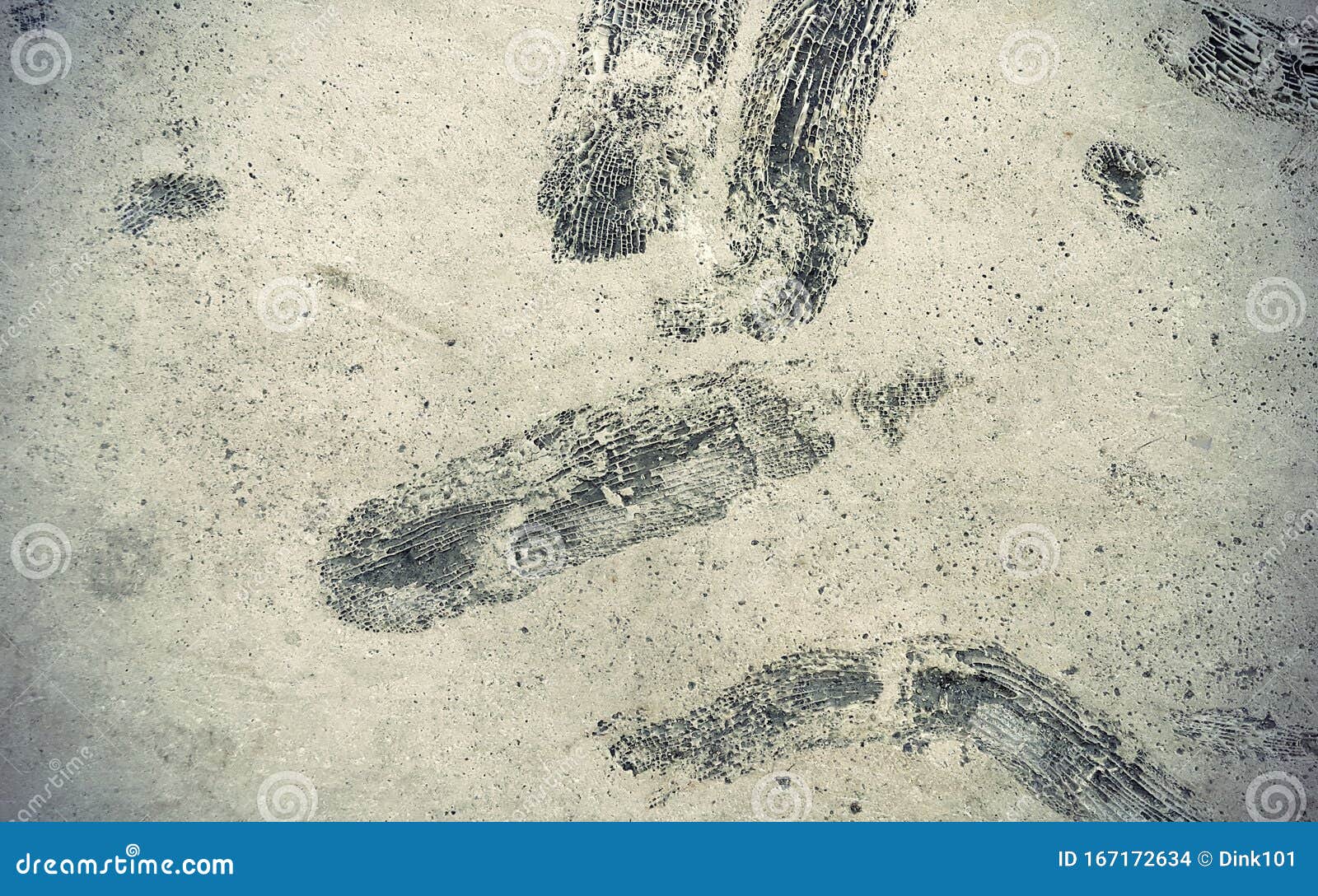 Stone texture with fossils stock photo. Image of marine - 167172634