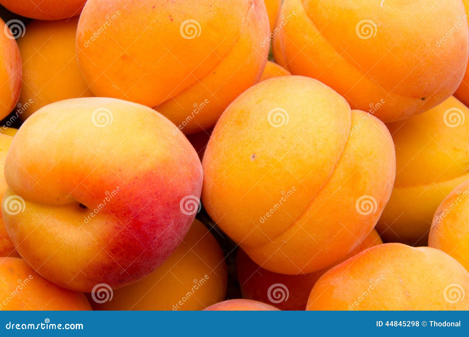 Background of apricots stock photo. Image of diet, freshness - 44845298