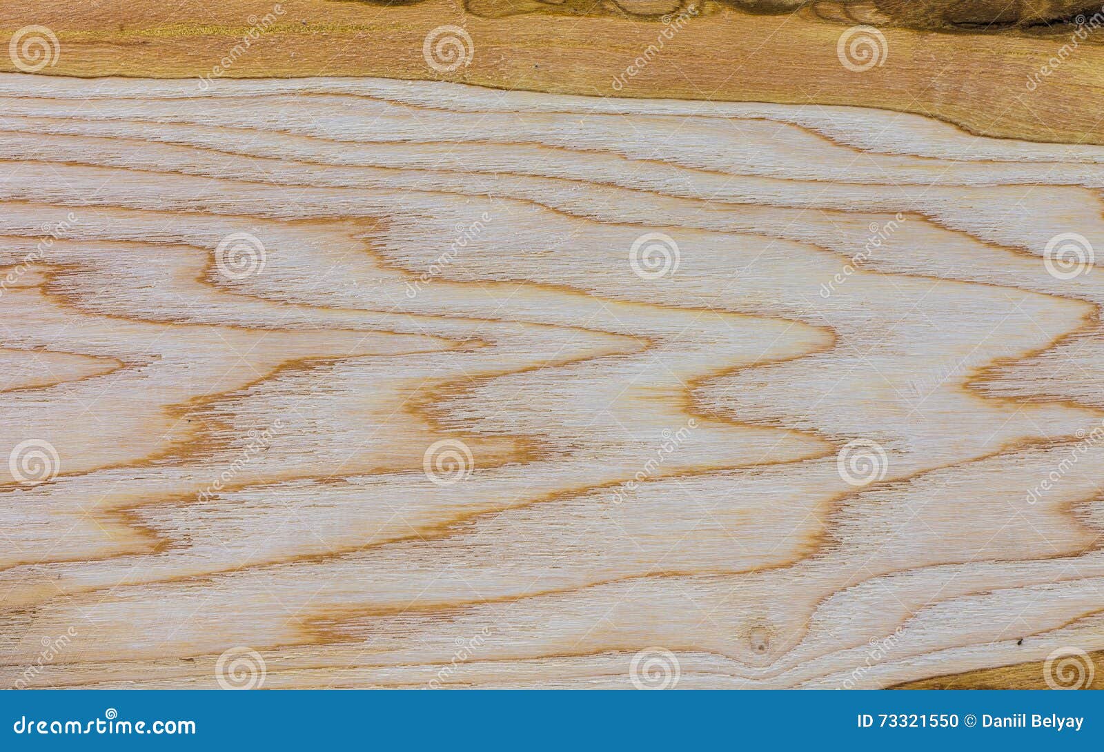 Background of Ash Wood Texture Decorative Surface Stock Photo - Image ...