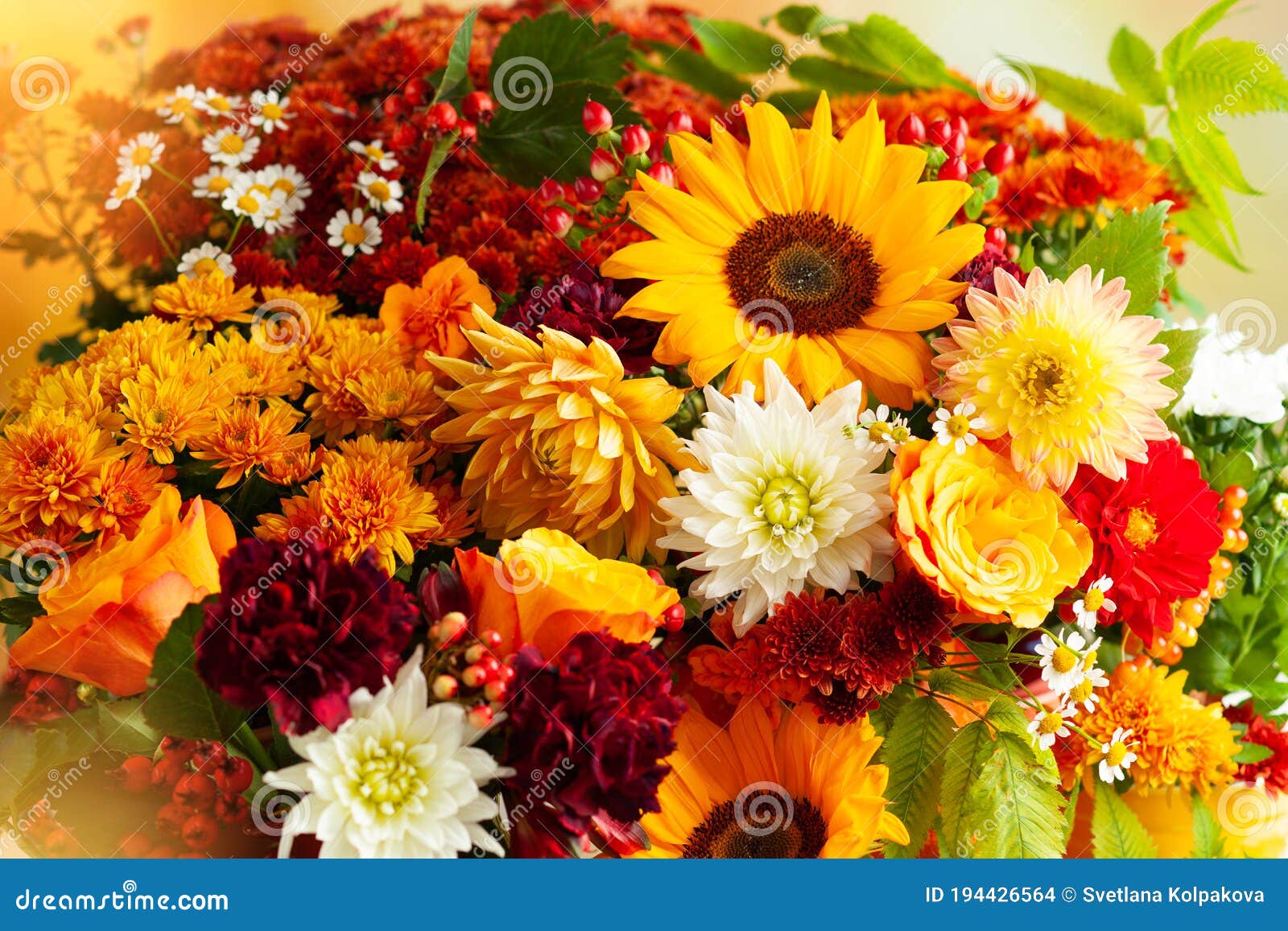 Background of Assorted Autumn Flowers. Concept of Fall Festive ...