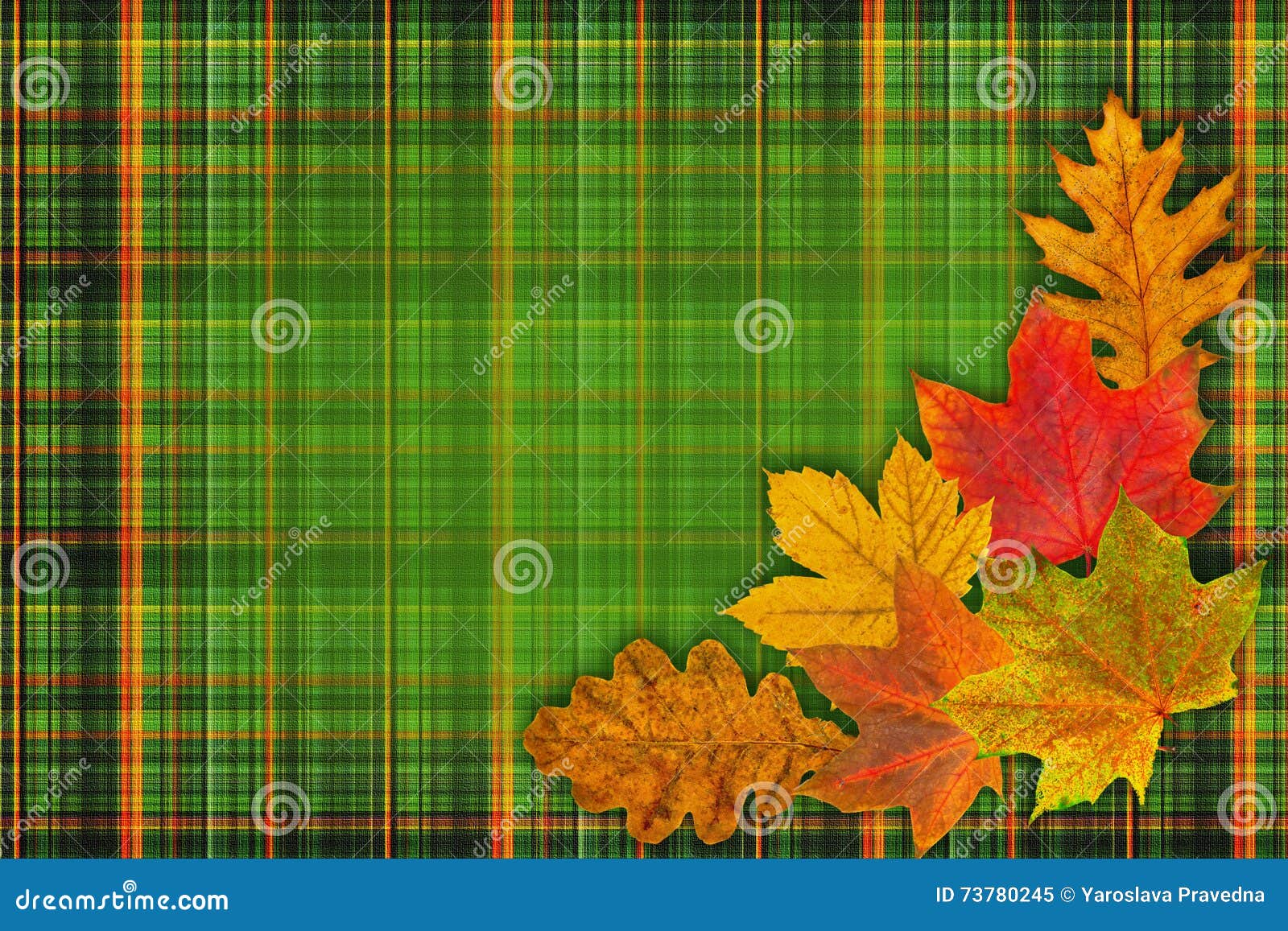 Background with Autumn Leaves Stock Image - Image of material, surface ...