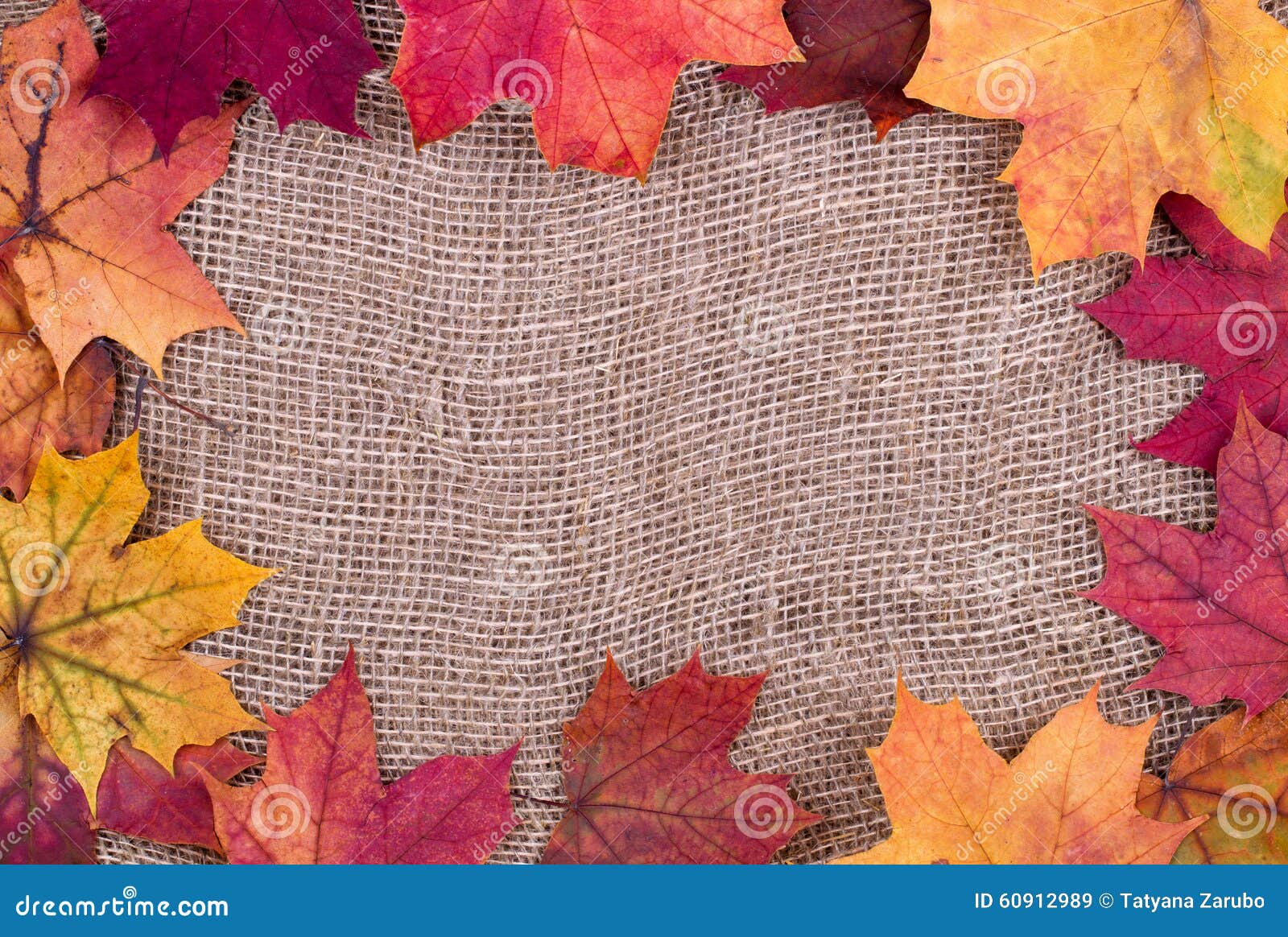 Background from Autumn Leaves of a Maple on Burlap Stock Image - Image ...