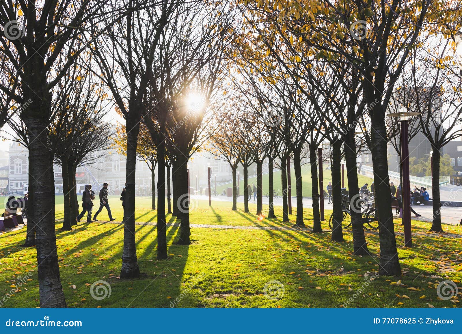 Background autumn October editorial image. Image of road - 77078625