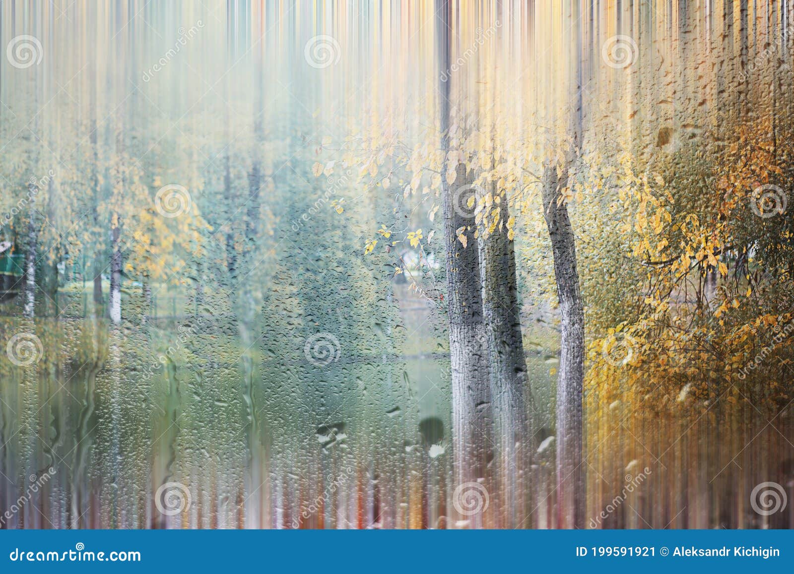 Background Autumn Rain in the Park Stock Image - Image of autumn, color ...