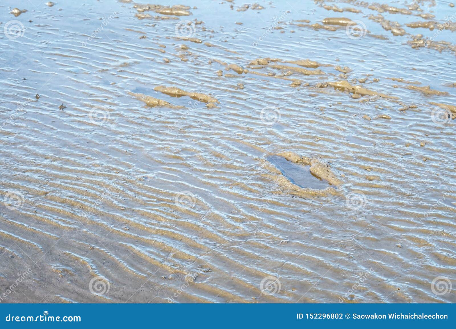 Footprints on Wetland and a Curved Pattern of Beautiful Sand Beach ...