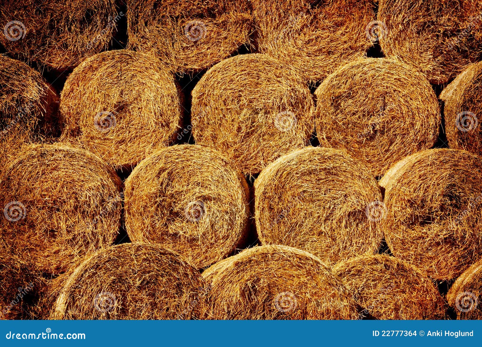 Background bales of hay stock photo. Image of border - 22777364