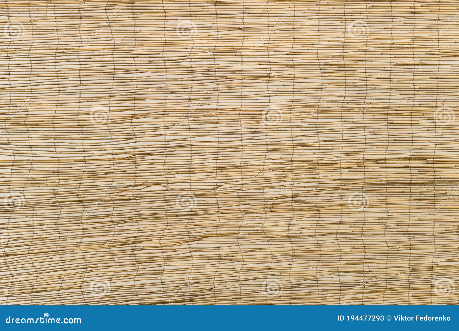 Background of Bamboo Canes, Texture Stock Image - Image of japan ...