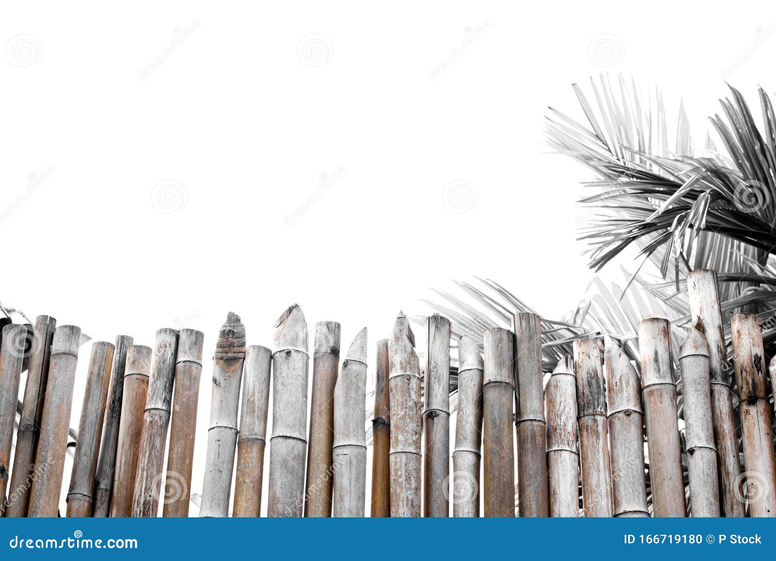 Background bamboo fence stock photo. Image of bough - 166719180