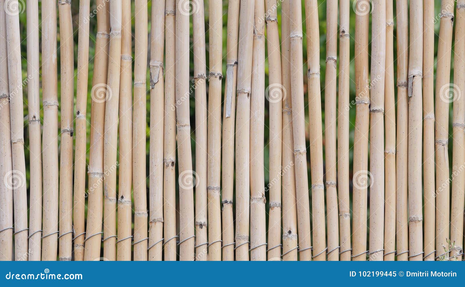 Background of a Bamboo Fence Stock Image - Image of culture, design ...