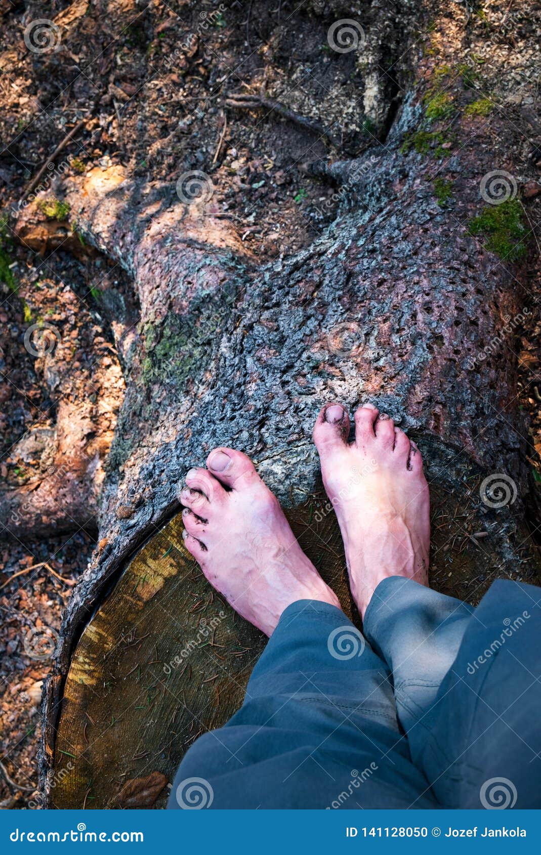 Bare Feet on a Tree Tree in a Forest Stock Photo - Image of green, clay ...