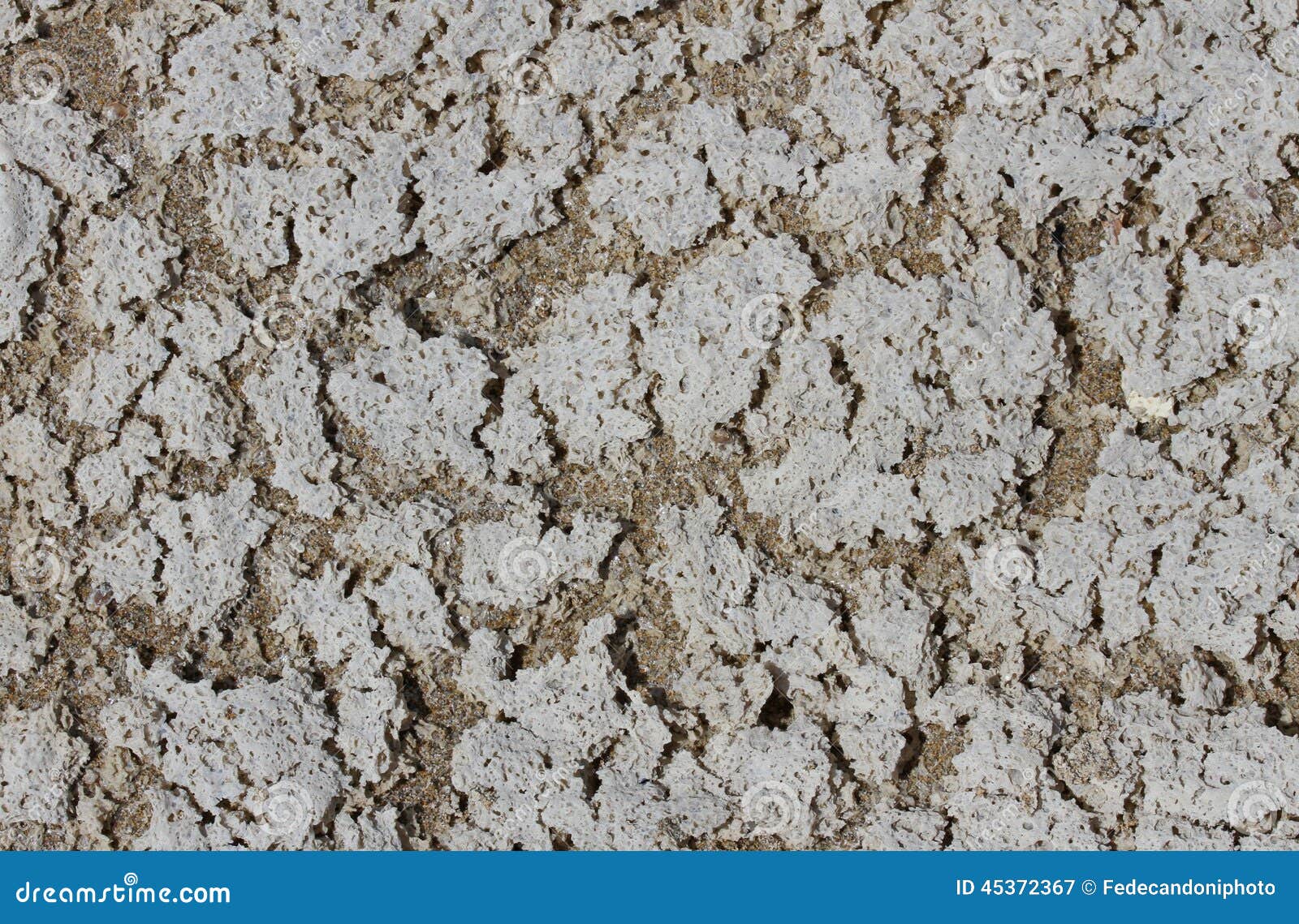 Background with Beach Sand and Salt Stock Image - Image of climate ...