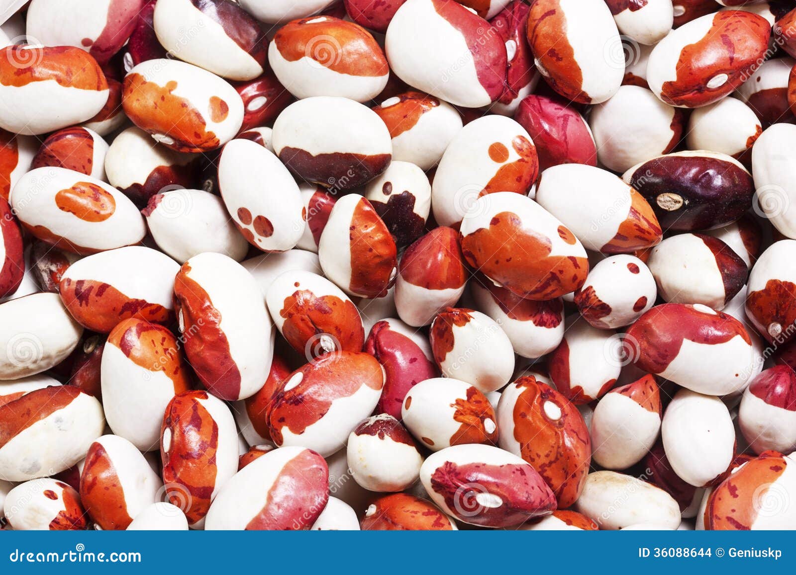 Background bean stock photo. Image of brown, macrobiotic - 36088644