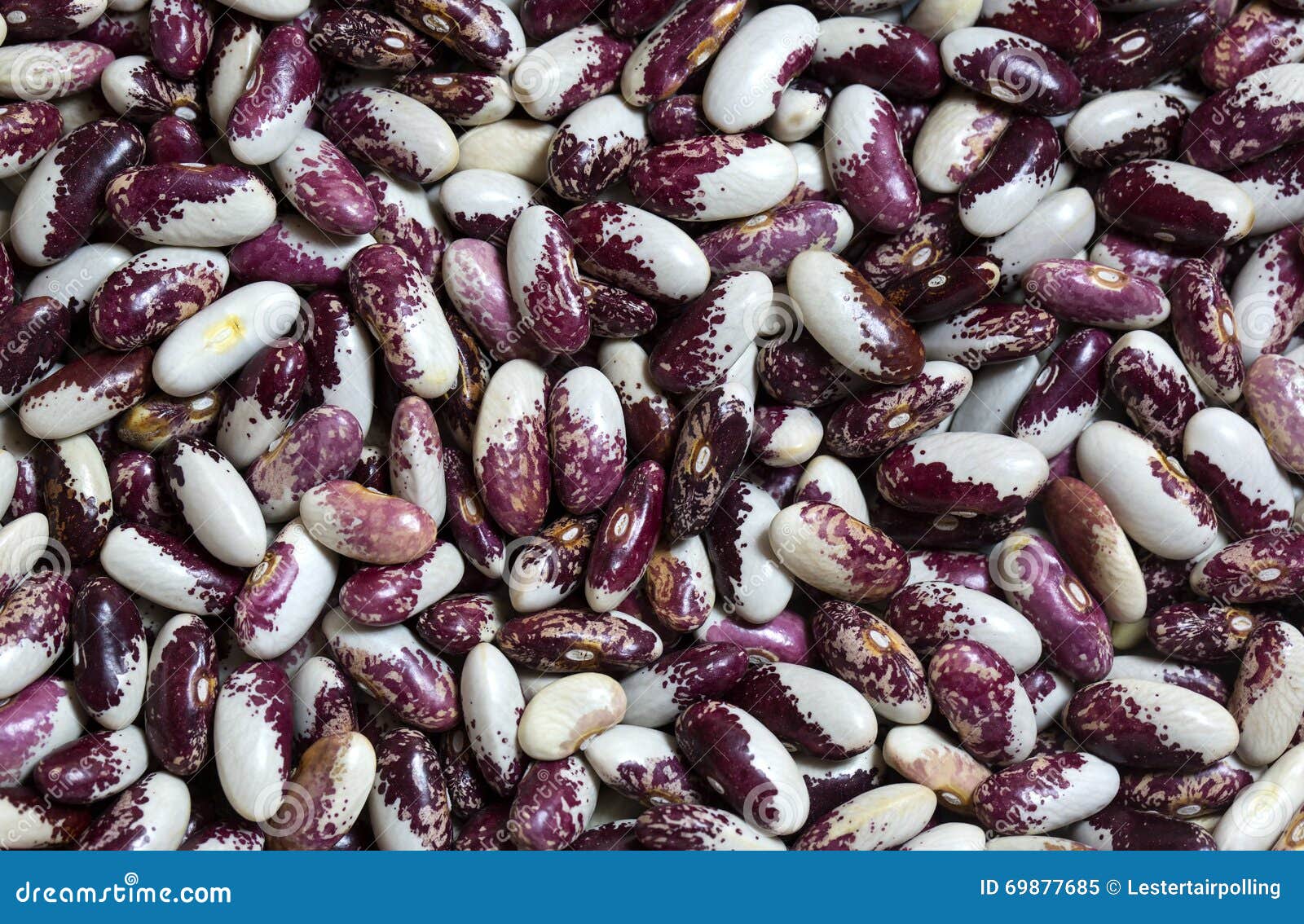 Background bean seeds stock image. Image of cuisine, food - 69877685