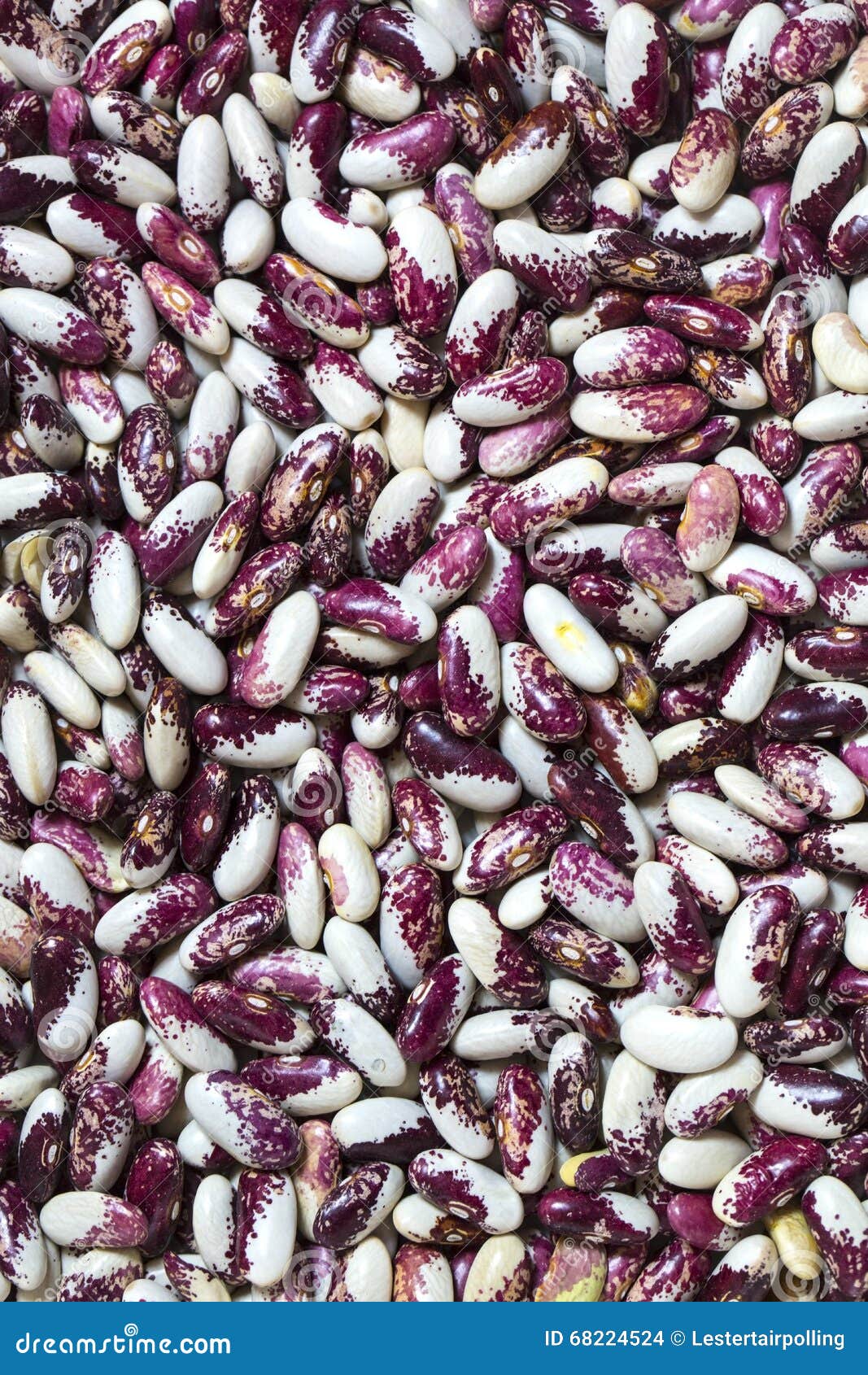 Background bean stock photo. Image of eating, minestrone - 68224524