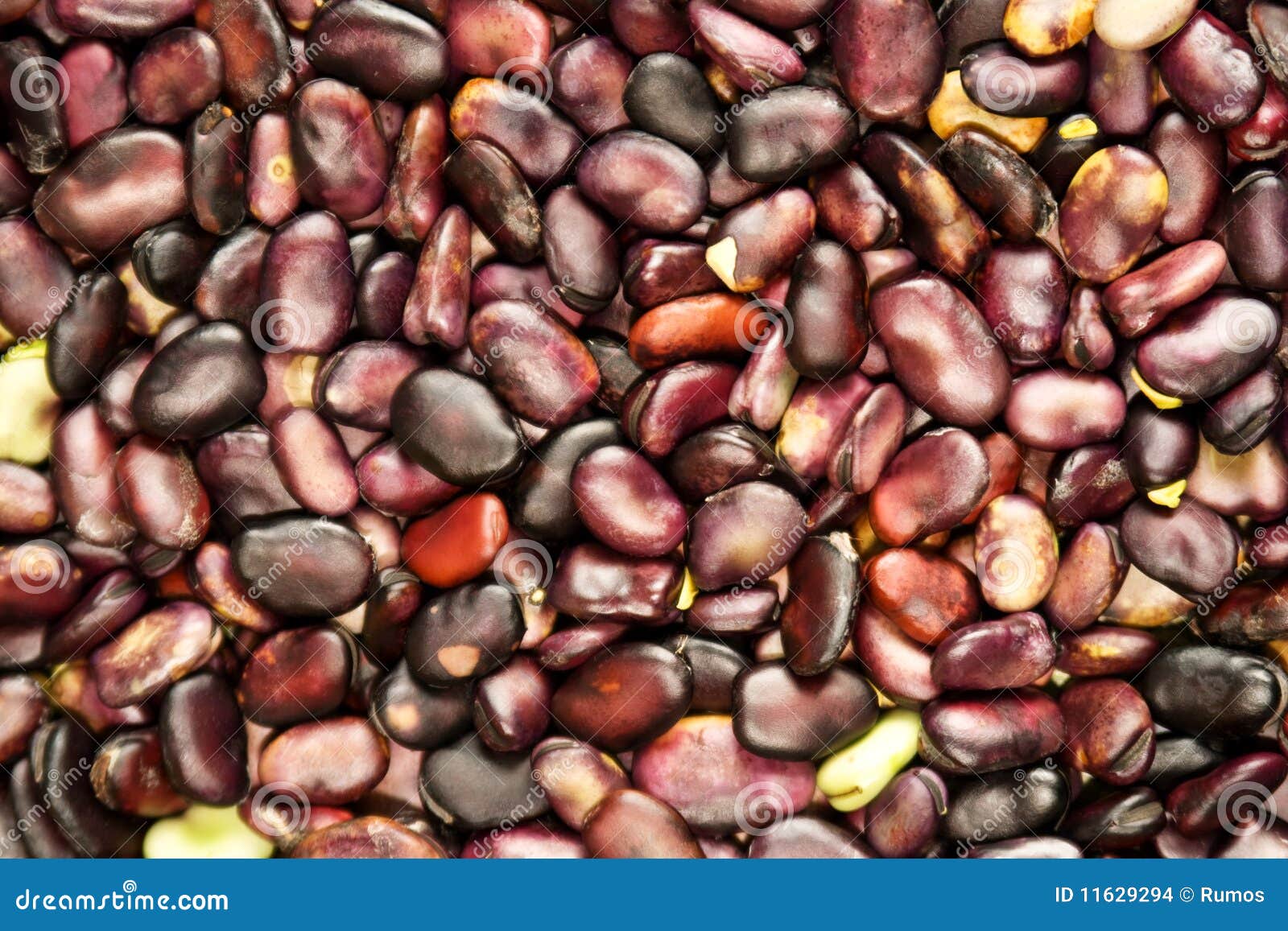 Background from Bean Vegetables Stock Photo - Image of horizontal ...