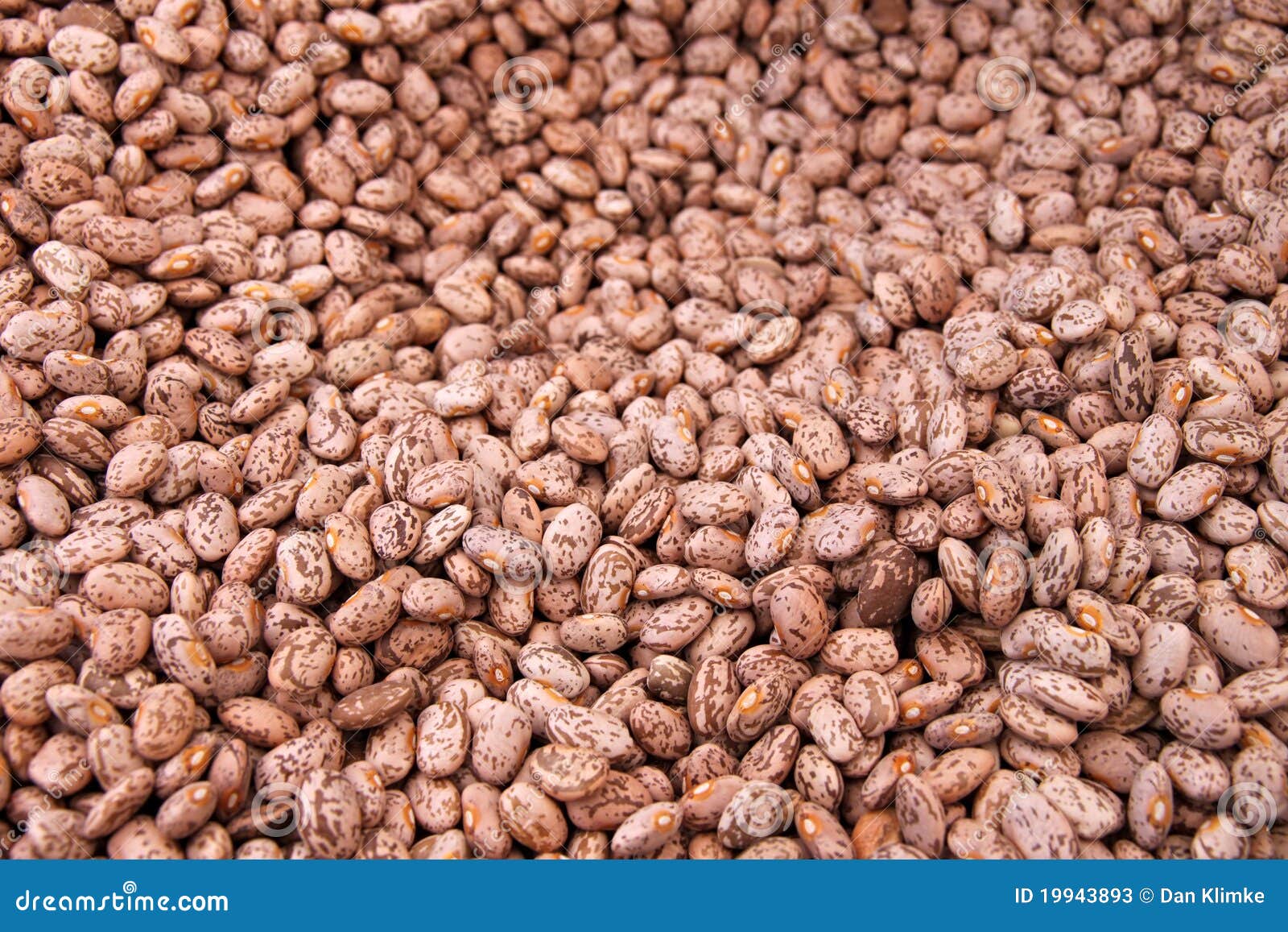 Background of beans stock image. Image of nature, black - 19943893
