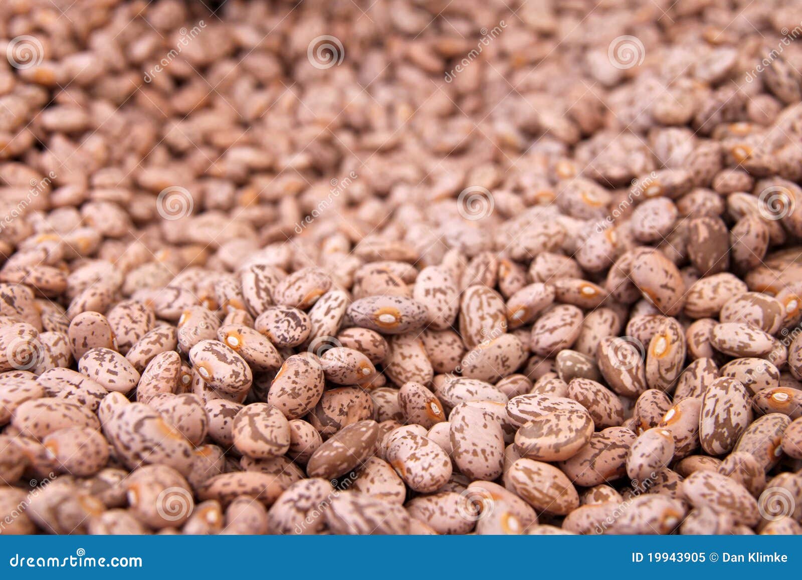 Background Of Beans Picture. Image: 19943905