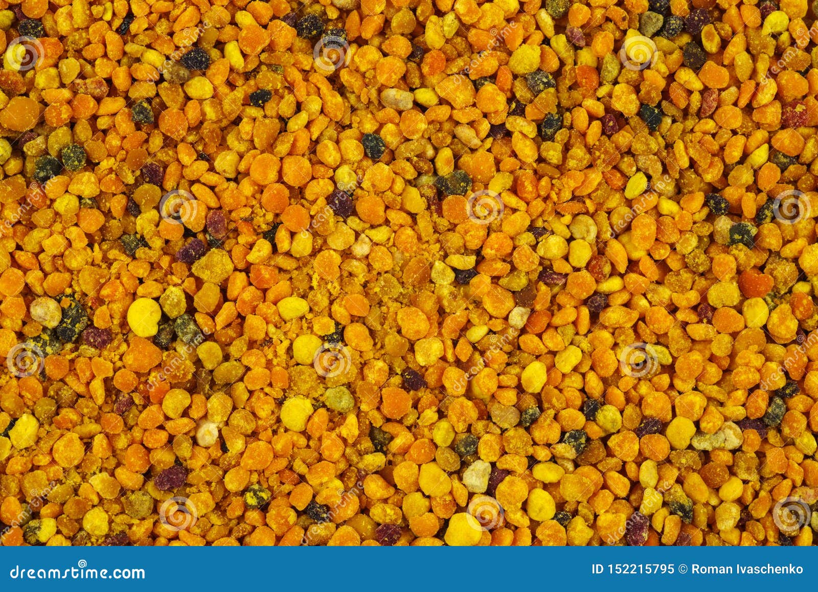 Bee Gathered Pollen Granules Stock Image - Image of food, anther: 152215795