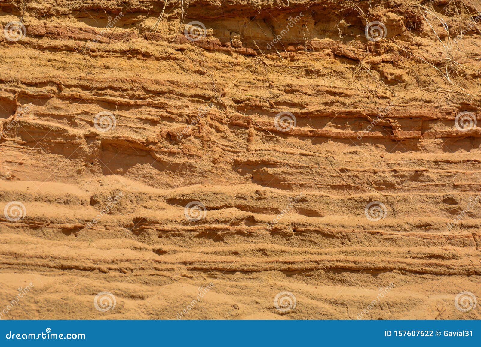 Background of Beige Sand of Sandy Cliffs. Close Up of the Texture of ...