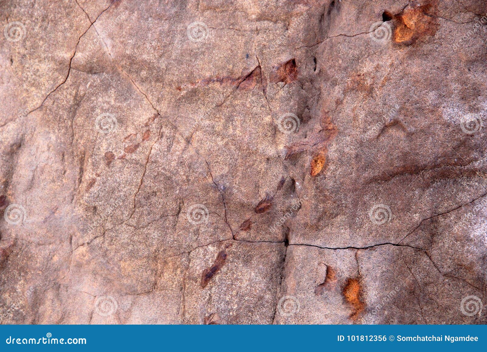 Texture of the big stone stock photo. Image of stone - 101812356