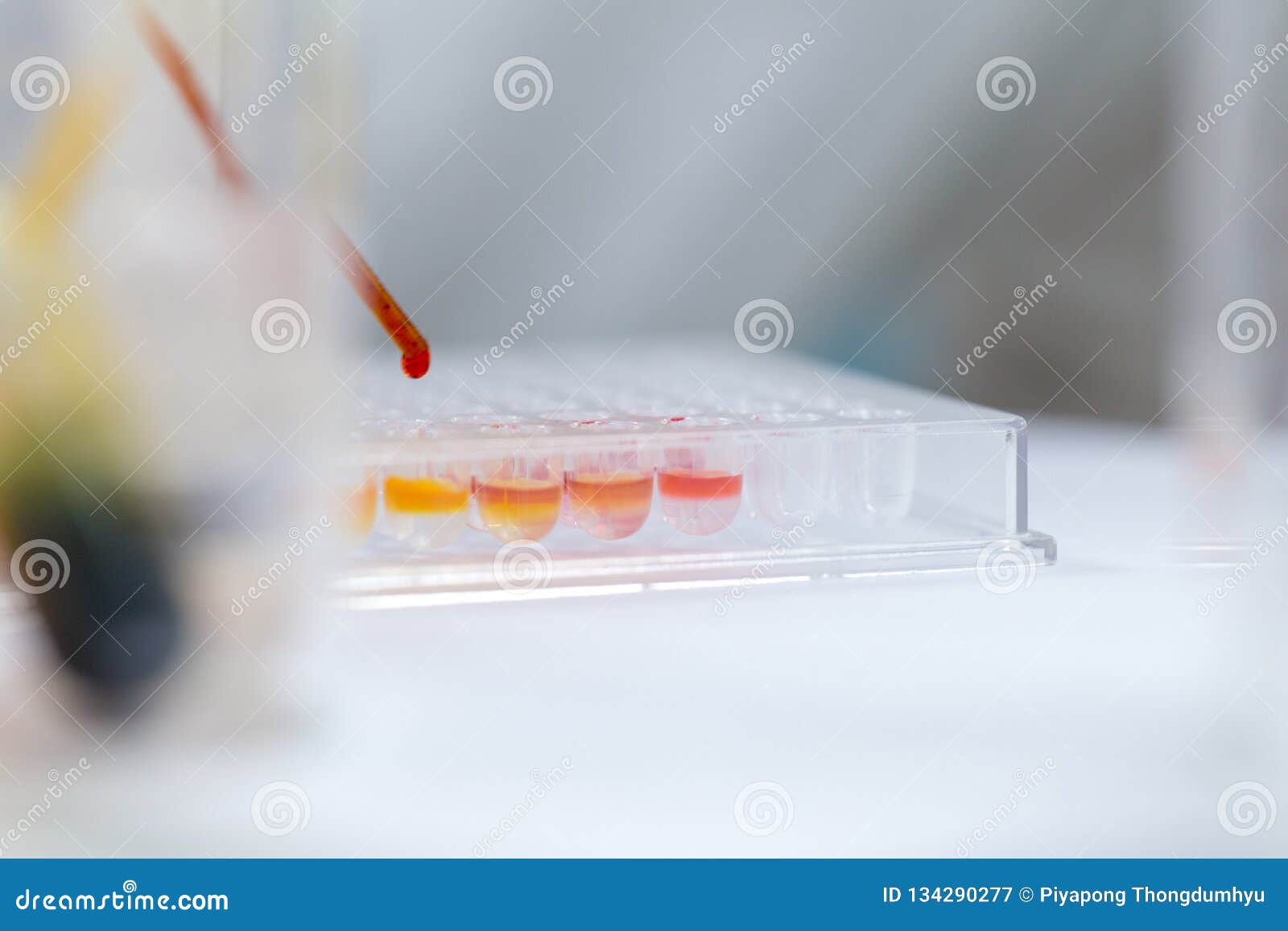 Biochemical Analysis and Chemical Analysis in Lab. Stock Image - Image ...