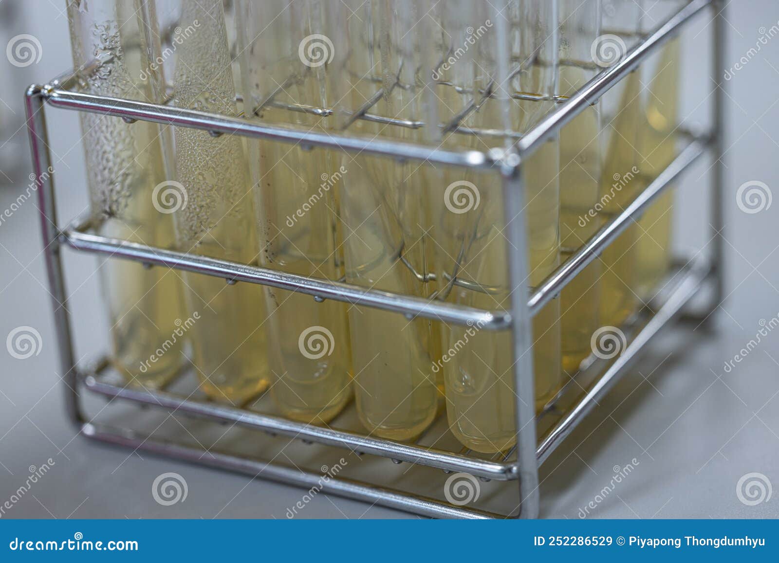 Biochemistry Study in the Laboratory. Stock Image - Image of medicine ...