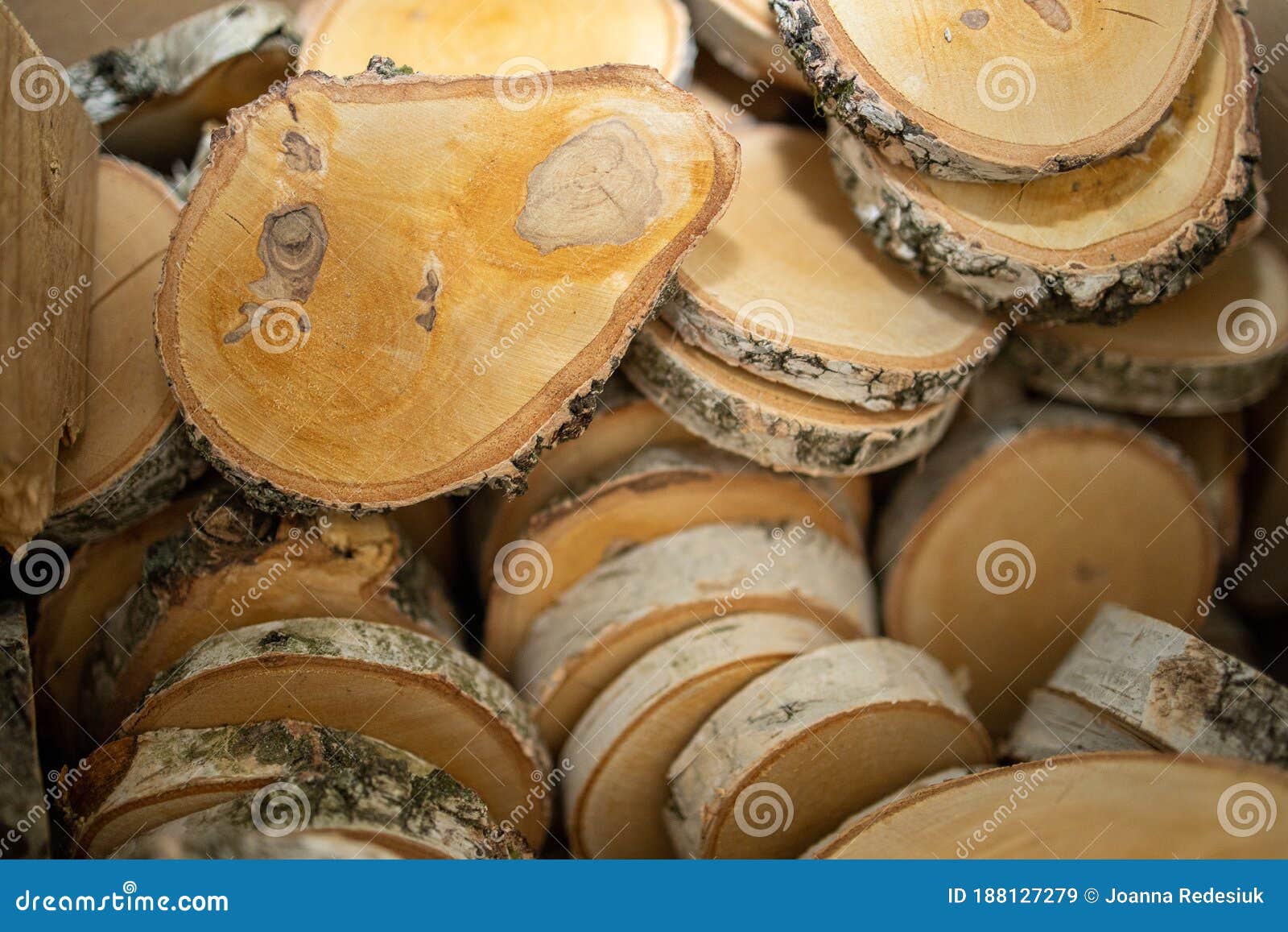Background from Birch Trunk Cut into Oval Pieces Stock Image - Image of ...