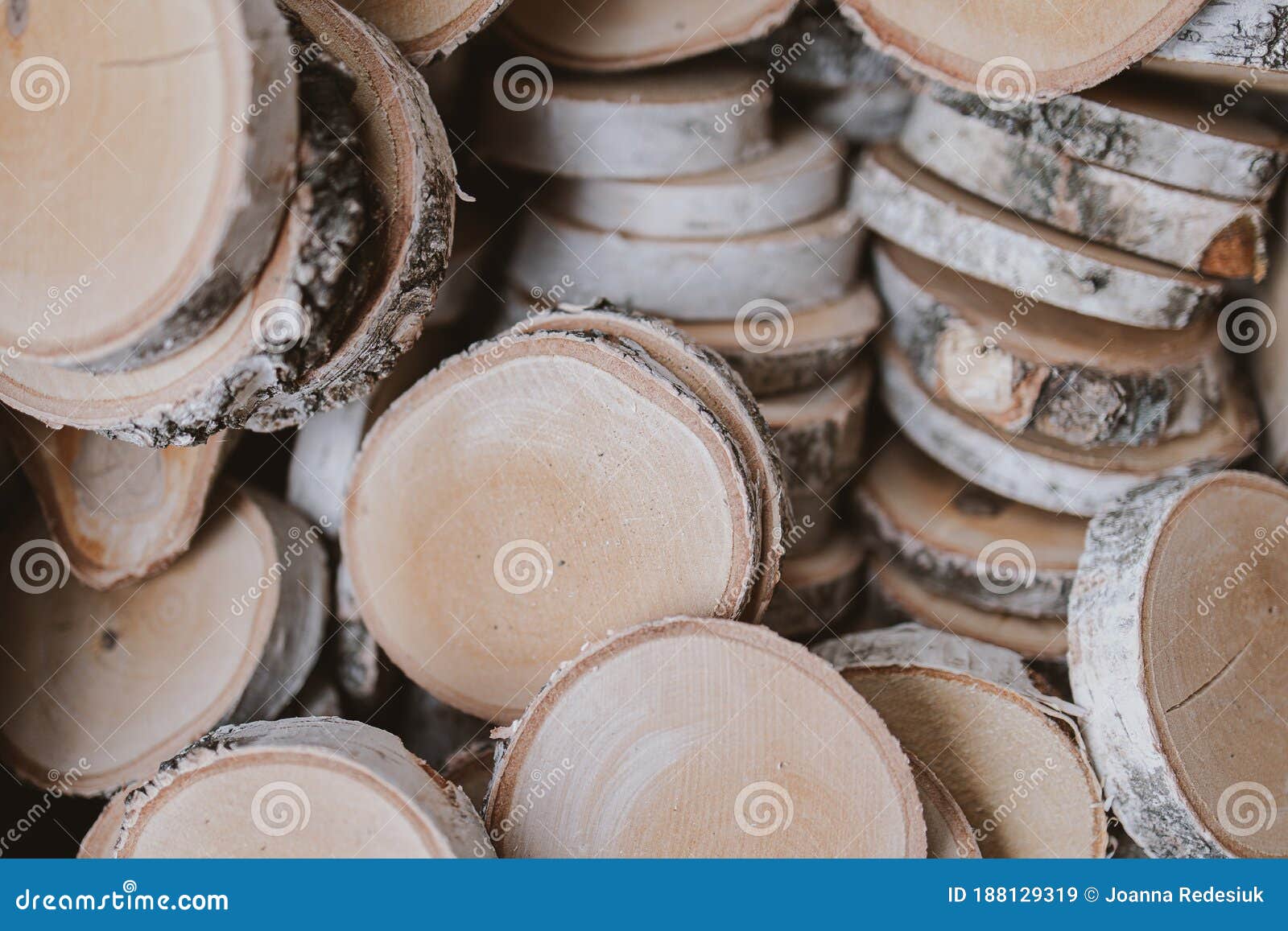 Background from Birch Trunk Cut into Oval Pieces Stock Image - Image of ...