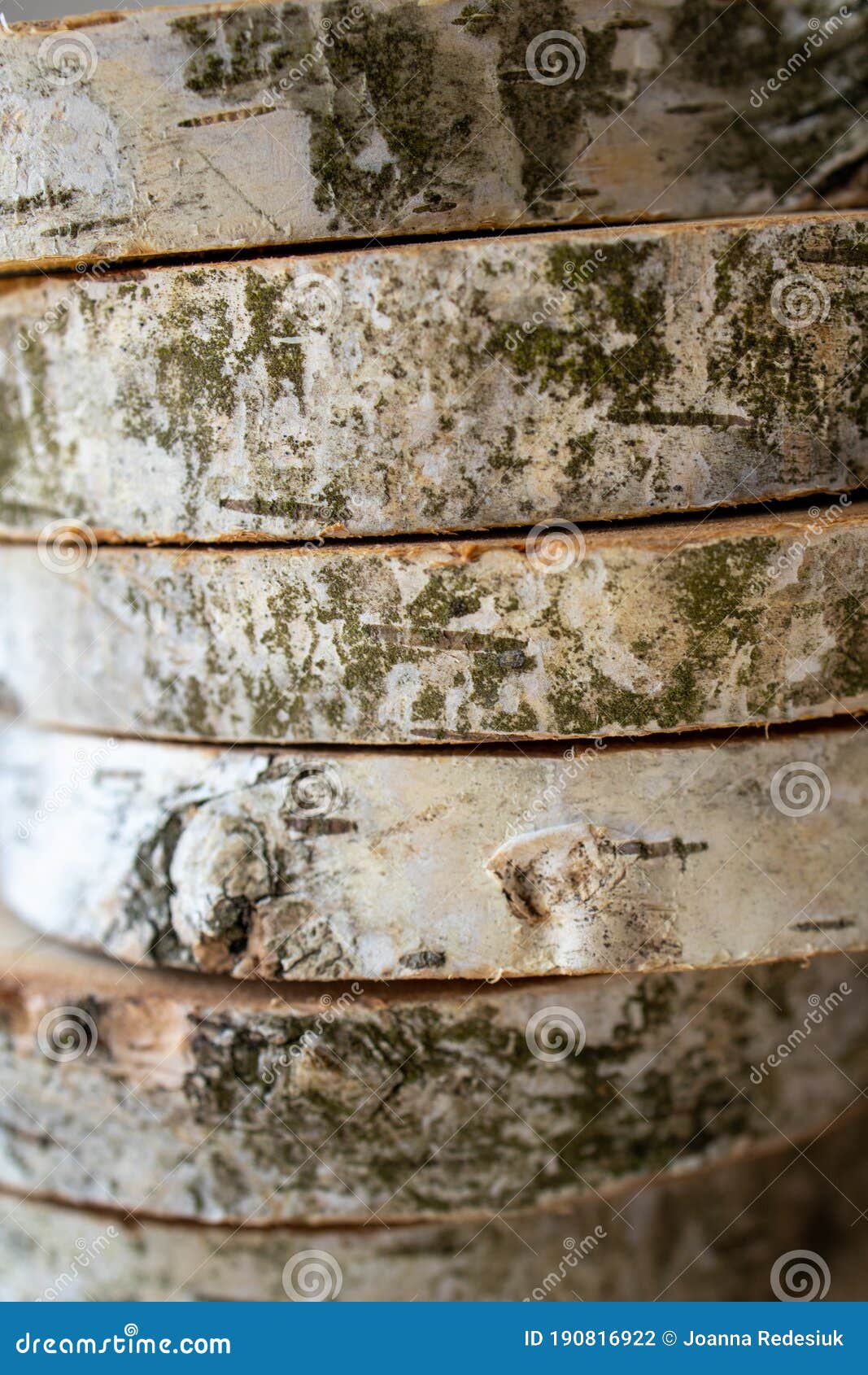 Background from Birch Trunk Cut into Oval Pieces Stock Photo - Image of ...