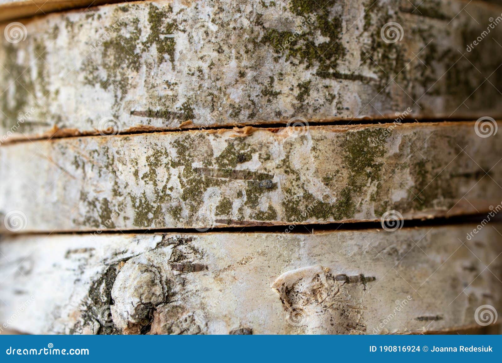 Background from Birch Trunk Cut into Oval Pieces Stock Photo - Image of ...