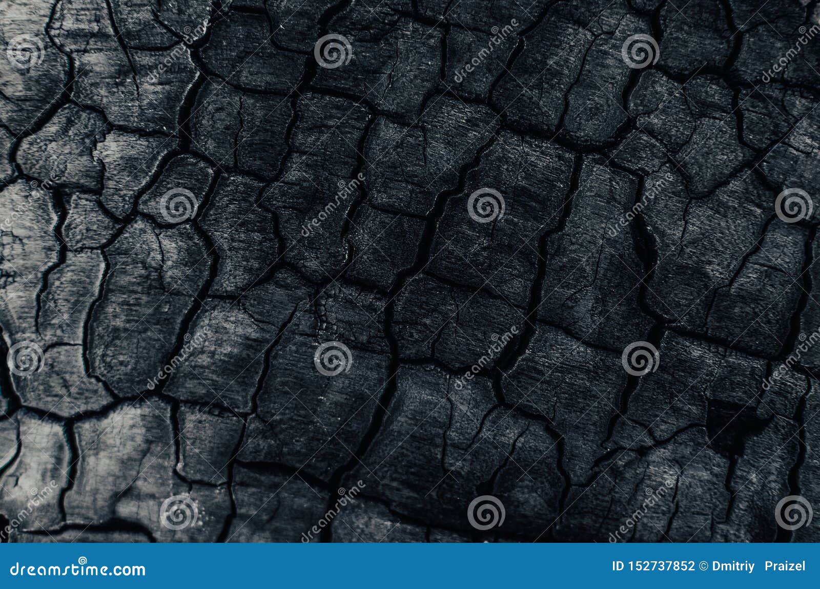 Background, Black Charred Timber, Coal after Fire, Abstract and in ...