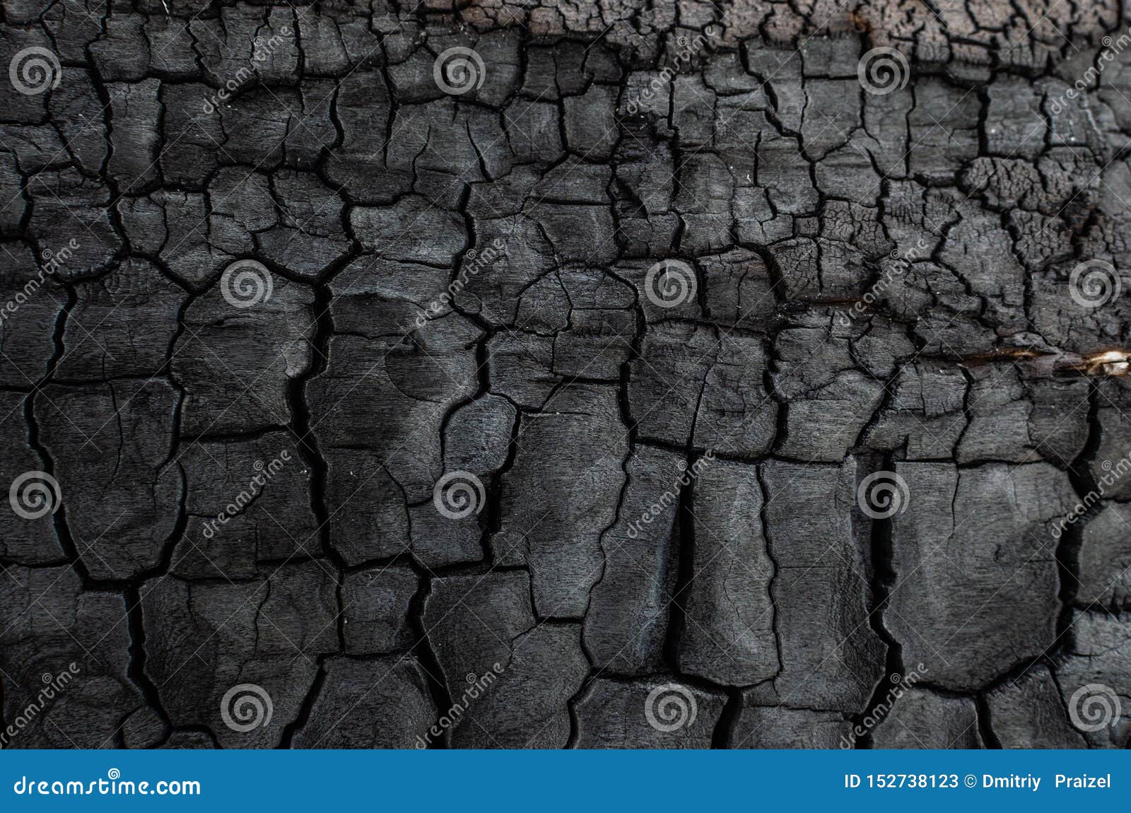 Background, Black Charred Timber, Coal after Fire, Abstract and in ...