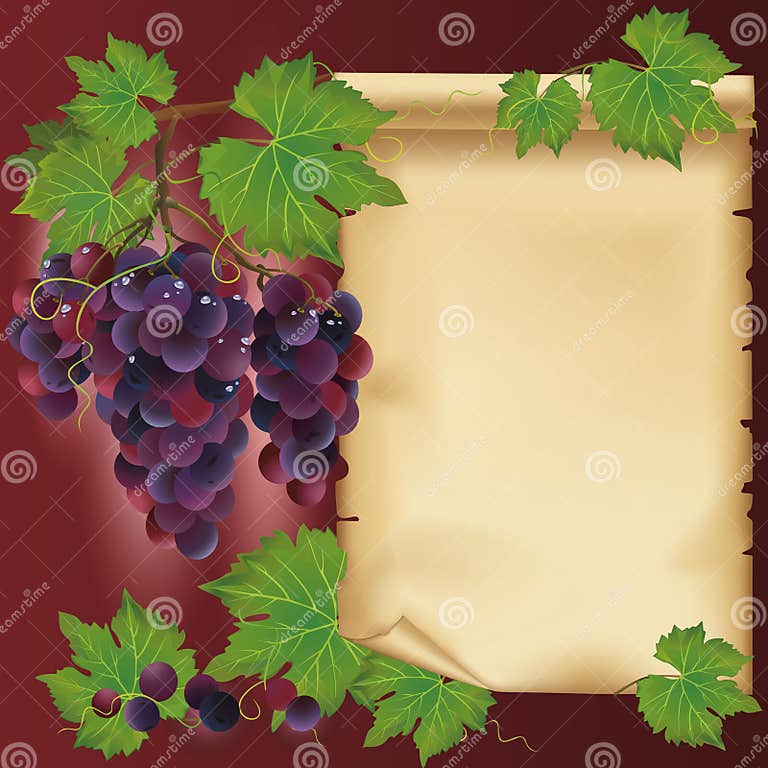 Background with Black Grapes and Old Paper Stock Vector - Illustration ...