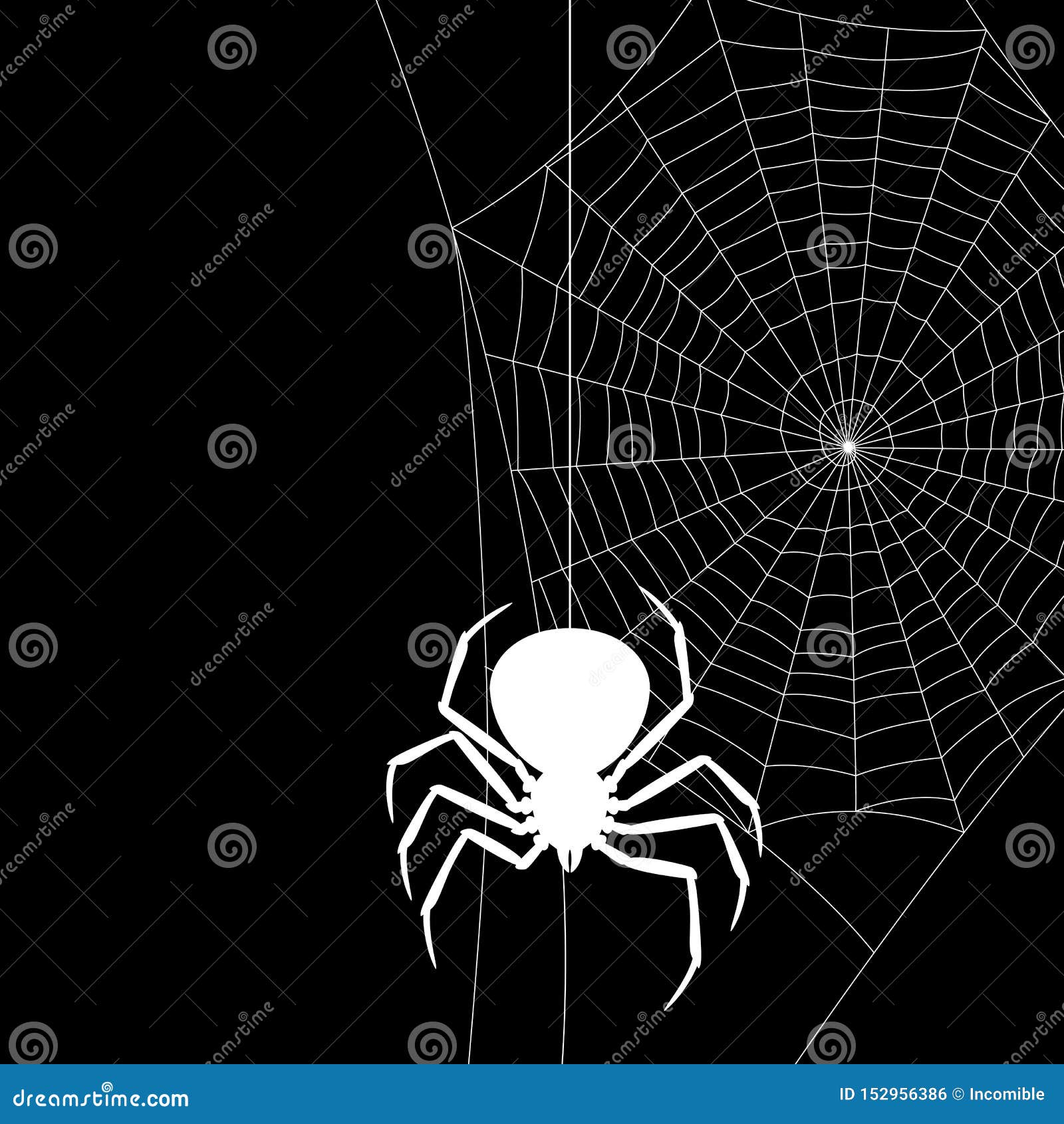 Spider Web Banner With Spiders And Bats Hanging, Cobweb Background ...