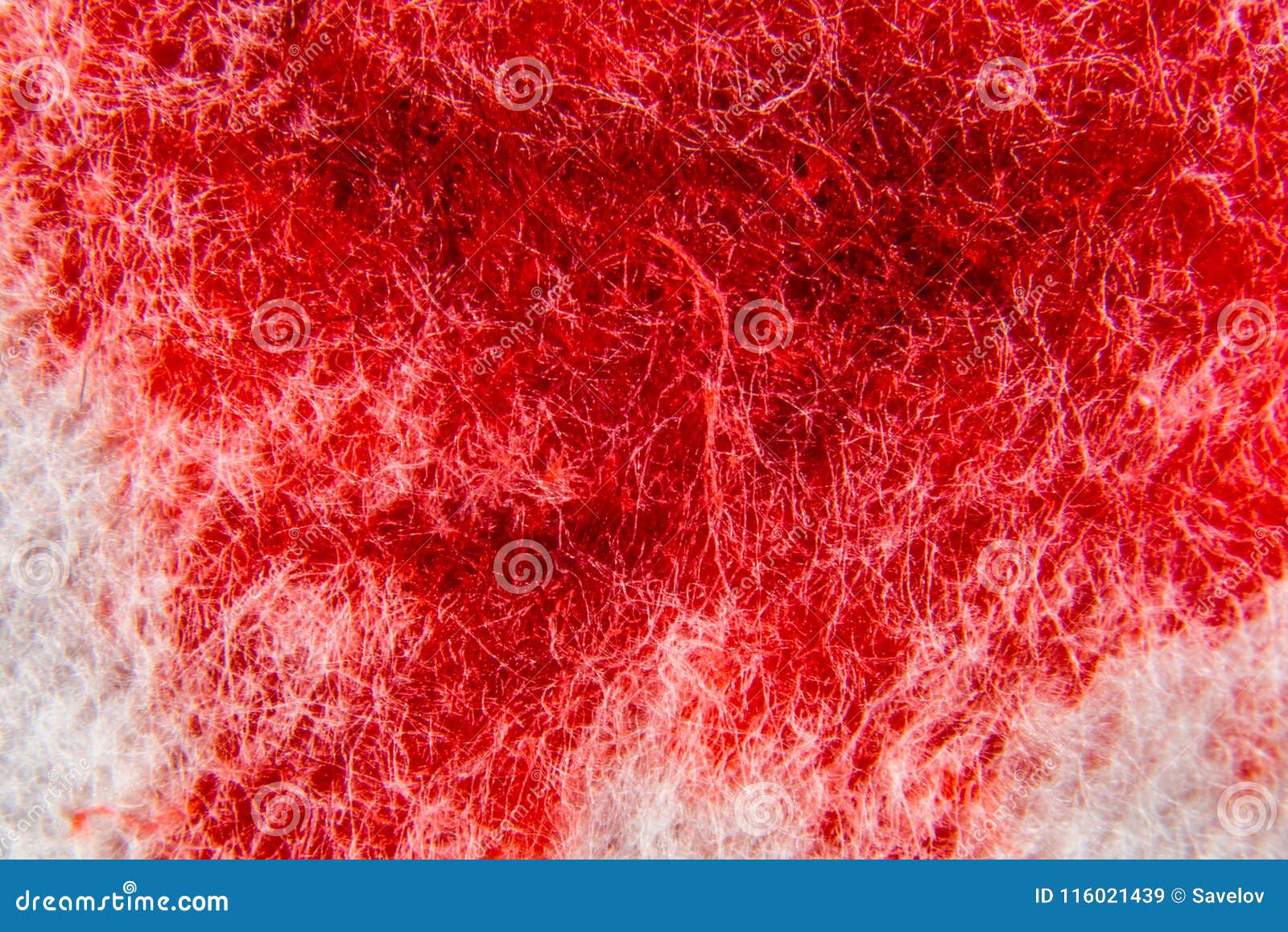 Background with Blood is on a Soft Absorbent Cotton Surface Macro Stock ...