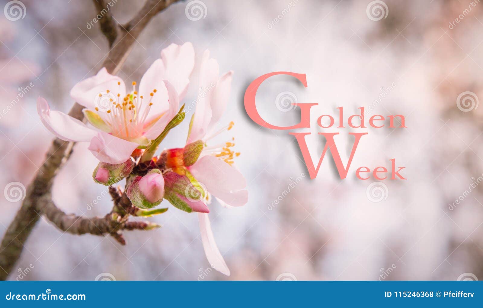 Golden week background stock photo. Image of outdoors - 115246368