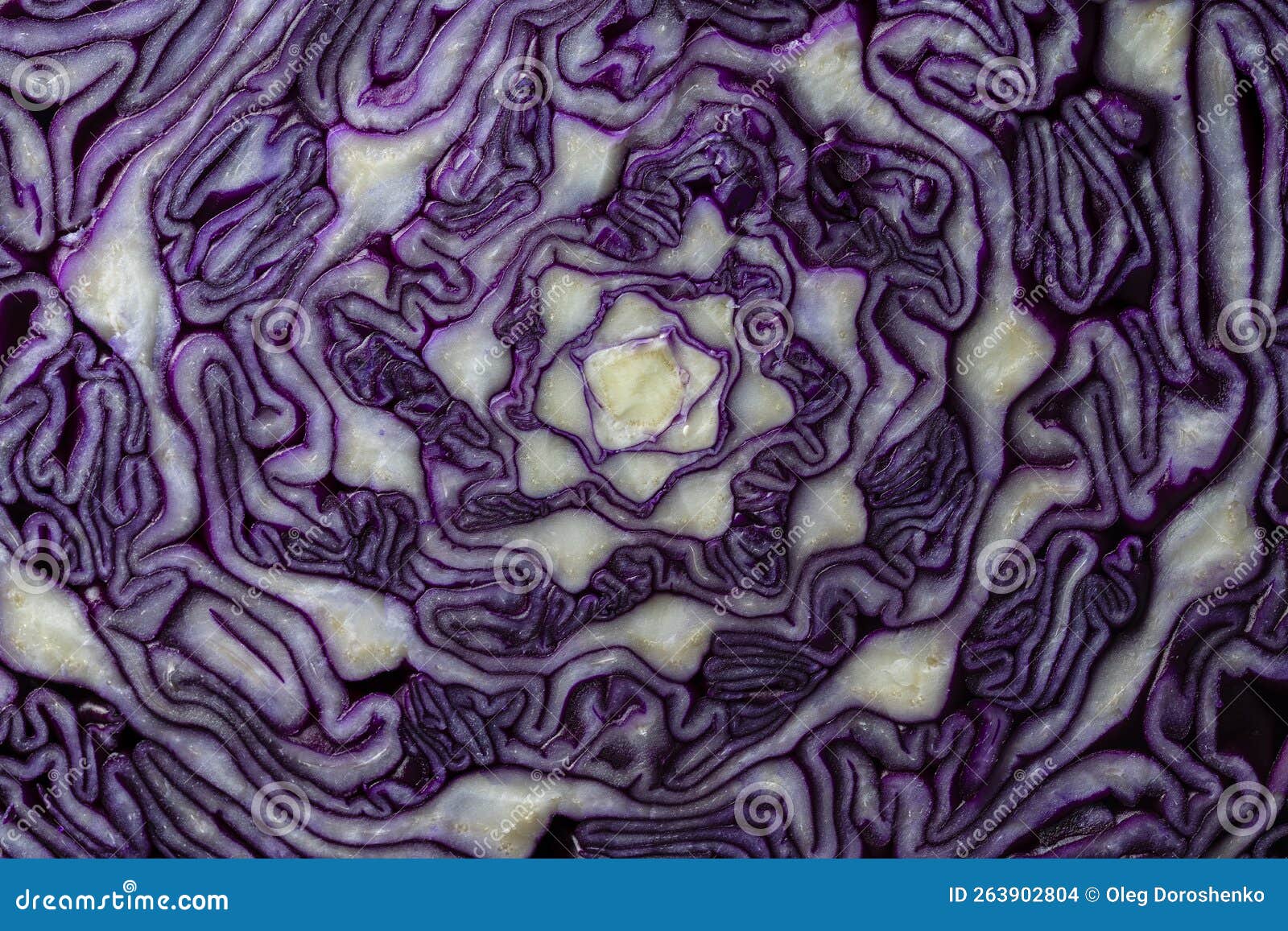 Background of Blue Cabbage in a Section, Macro Photography. Closeup ...