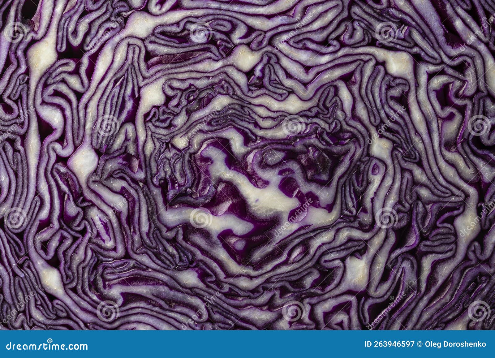 Background of Blue Cabbage in a Section, Macro Photography. Closeup ...
