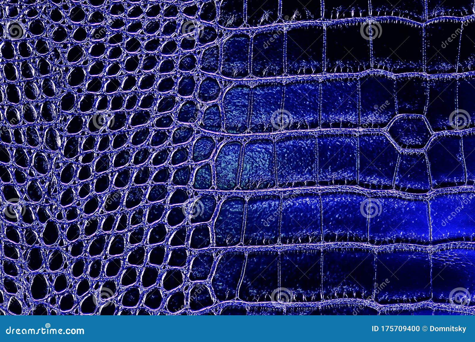 Background of Blue Crocodile Skin Texture Stock Photo - Image of ...