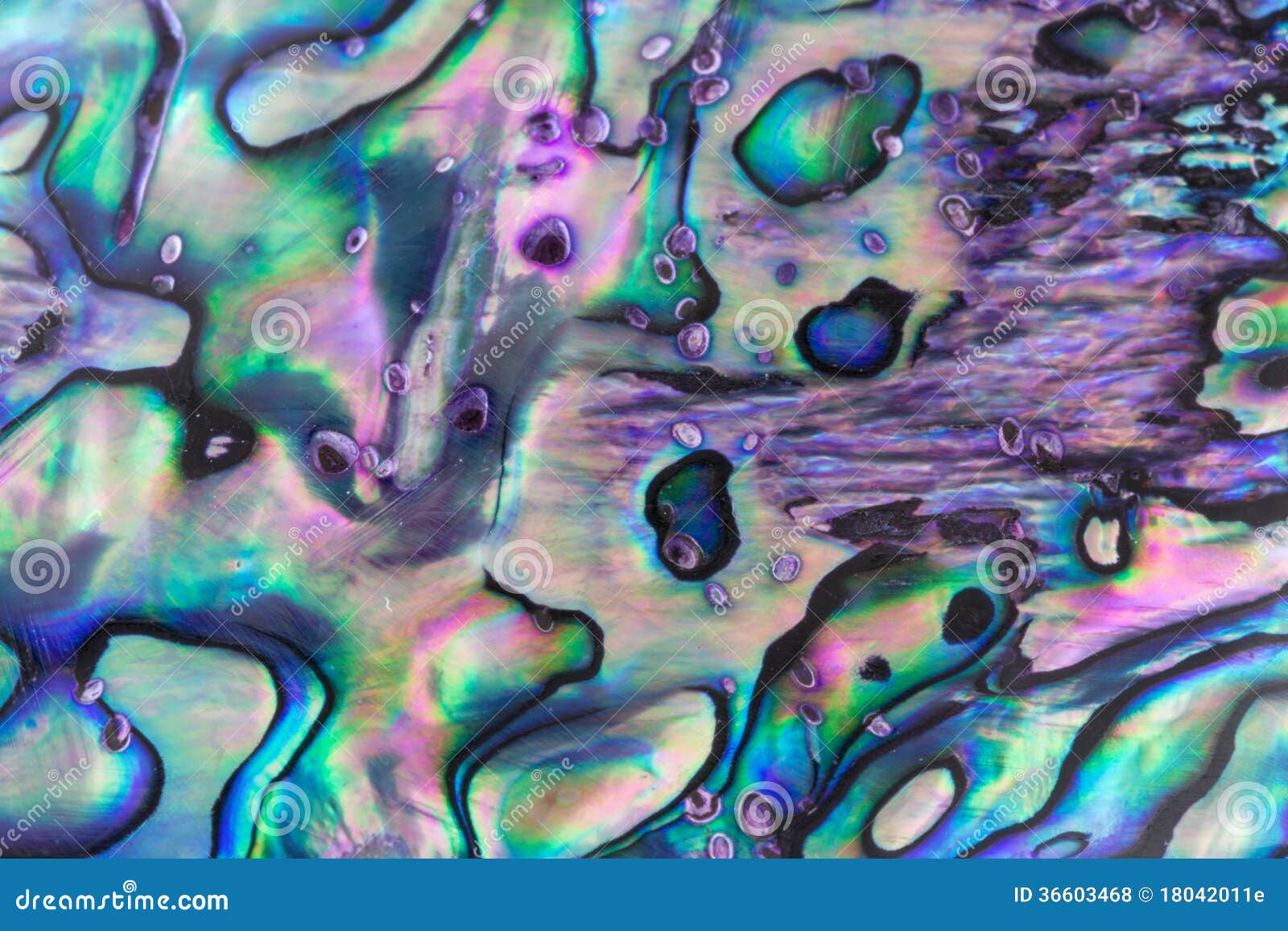 Background of Blue, Green and Purple Abalone Pearl Shell. Stock Photo ...