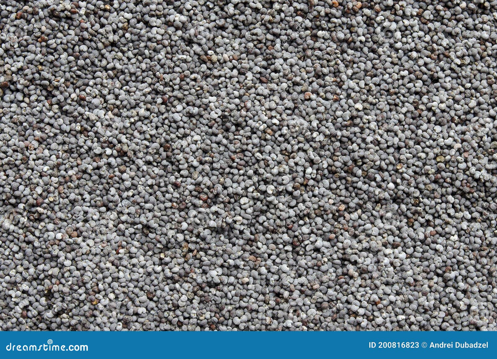 Background from Blue Poppy Seeds, Top View. Heap of Poppy Seeds ...