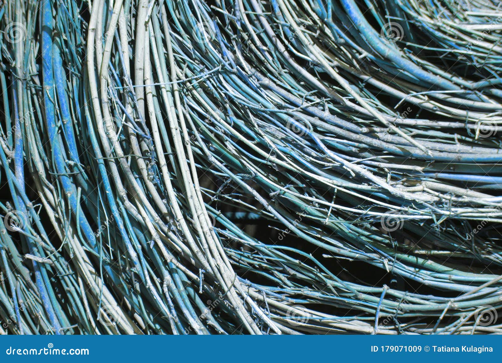 Background of blue vines. stock image. Image of background - 179071009